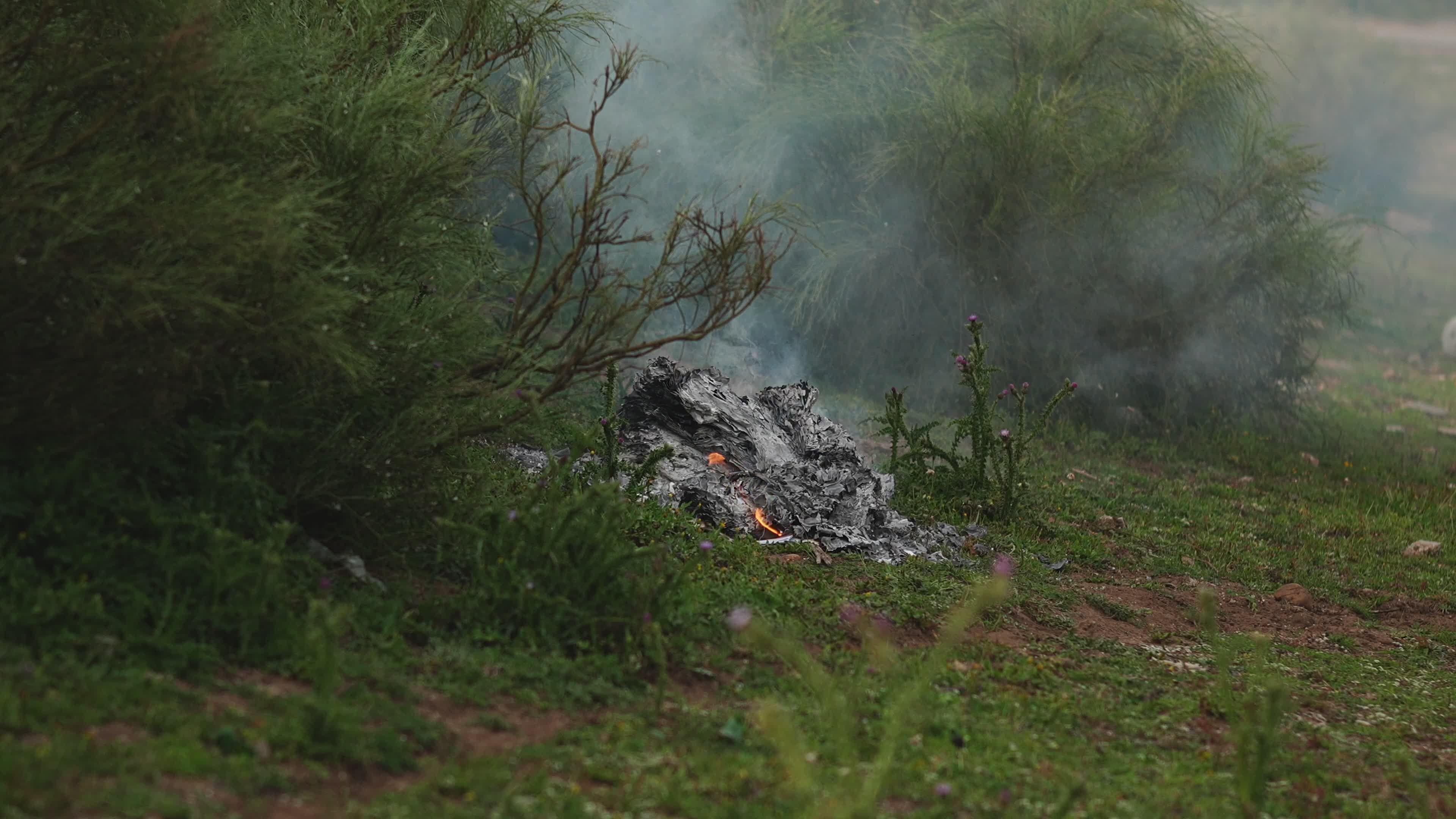 Burning Ashes in a Green Outdoor Setting Free Stock Video Footage ...