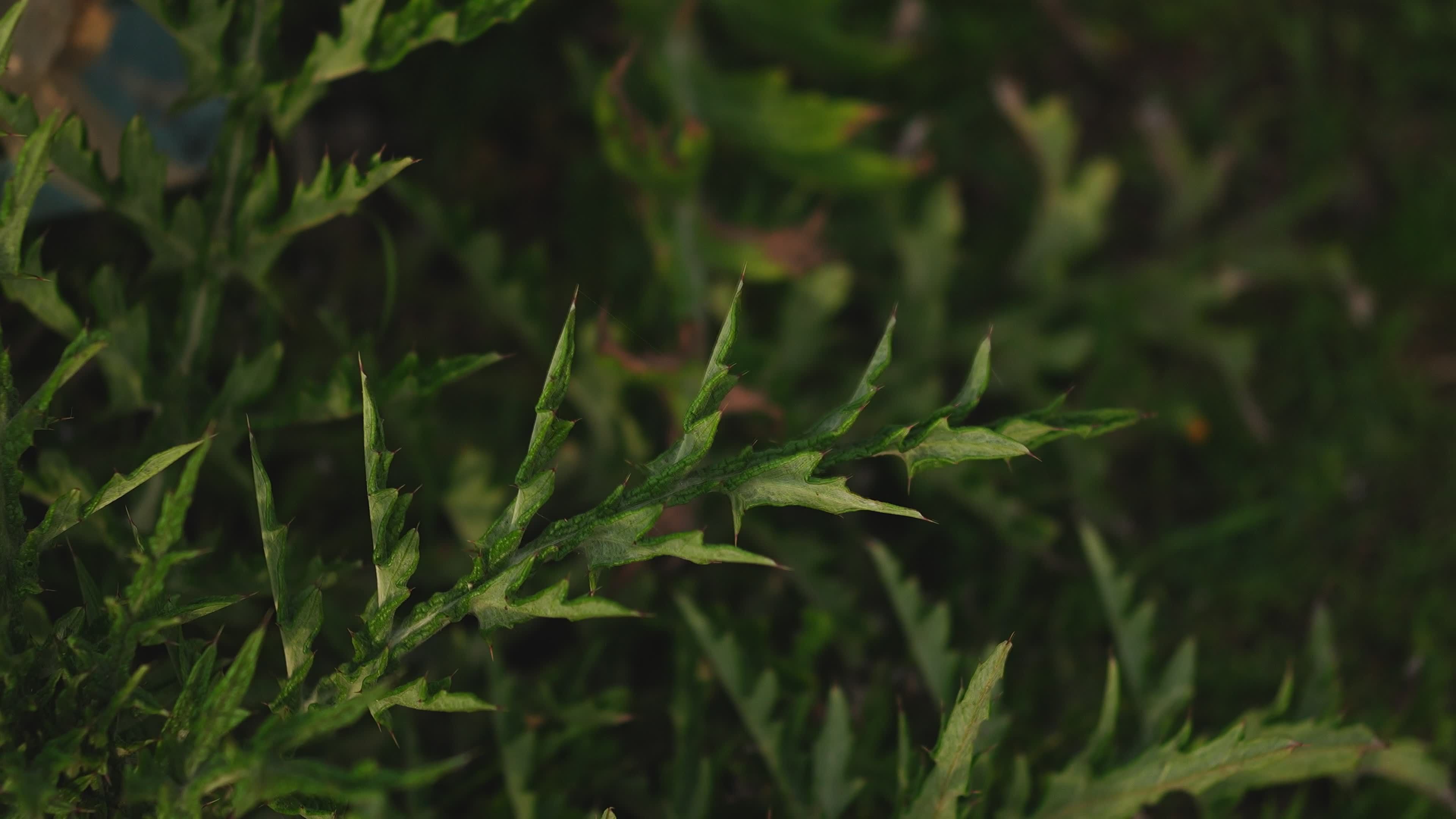 Contoh Studi Videos, Download The BEST Free 4k Stock Video Footage ...