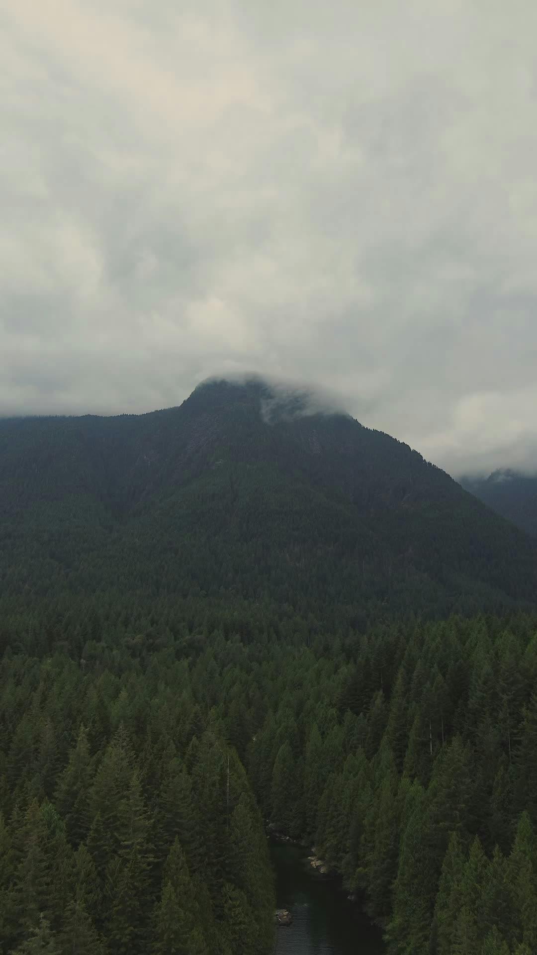 Sxs Video Videos, Download The BEST Free 4k Stock Video Footage & Sxs ...