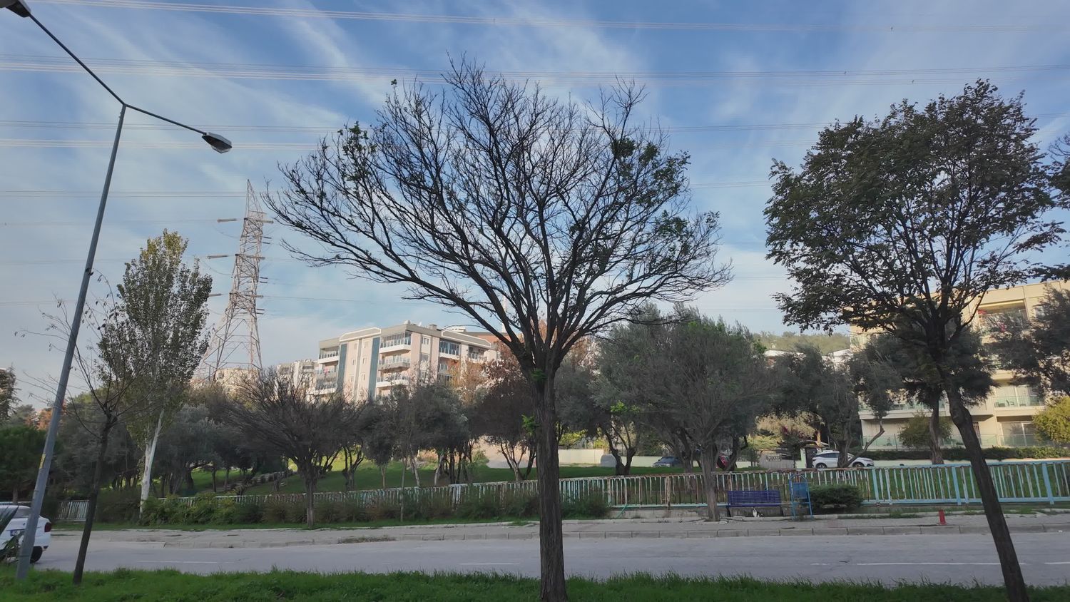 I 5000+ migliori video di Alberi Con Edifici · Download gratuito al 100 ...
