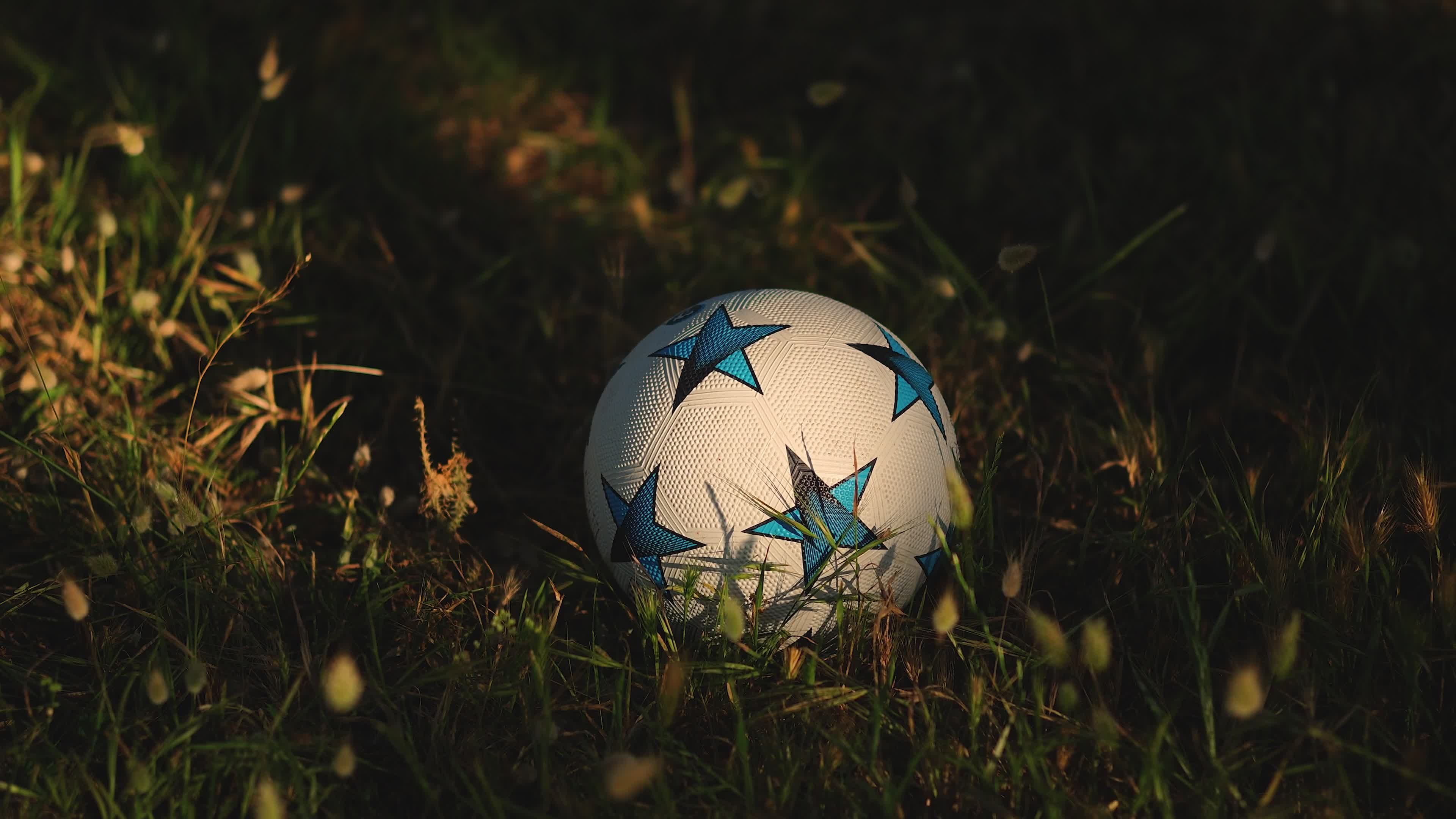 Soccer Ball on Grass in Evening Light Free Stock Video Footage, Royalty ...