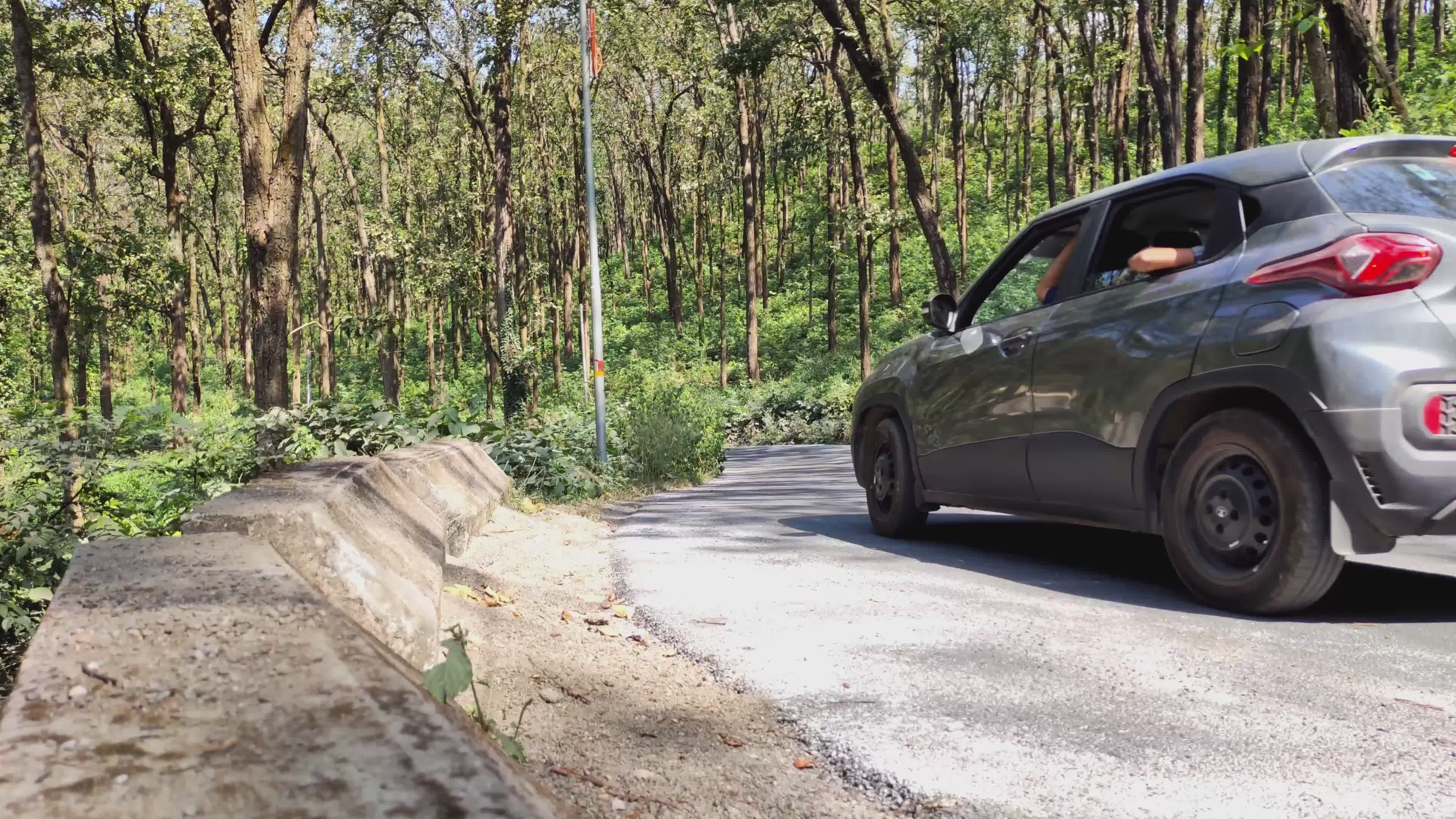 Car Driving Through Lush Forest Road Free Stock Video Footage, Royalty ...