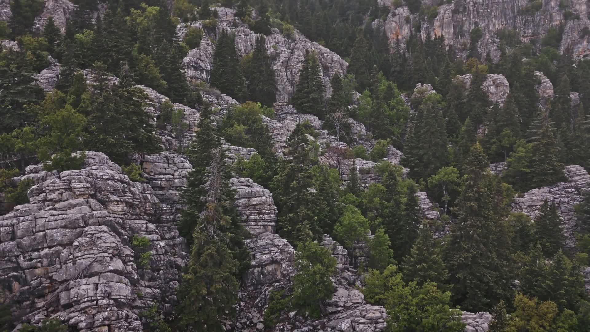 Aerial View of Rugged Forest and Rocky Terrain Free Stock Video Footage ...