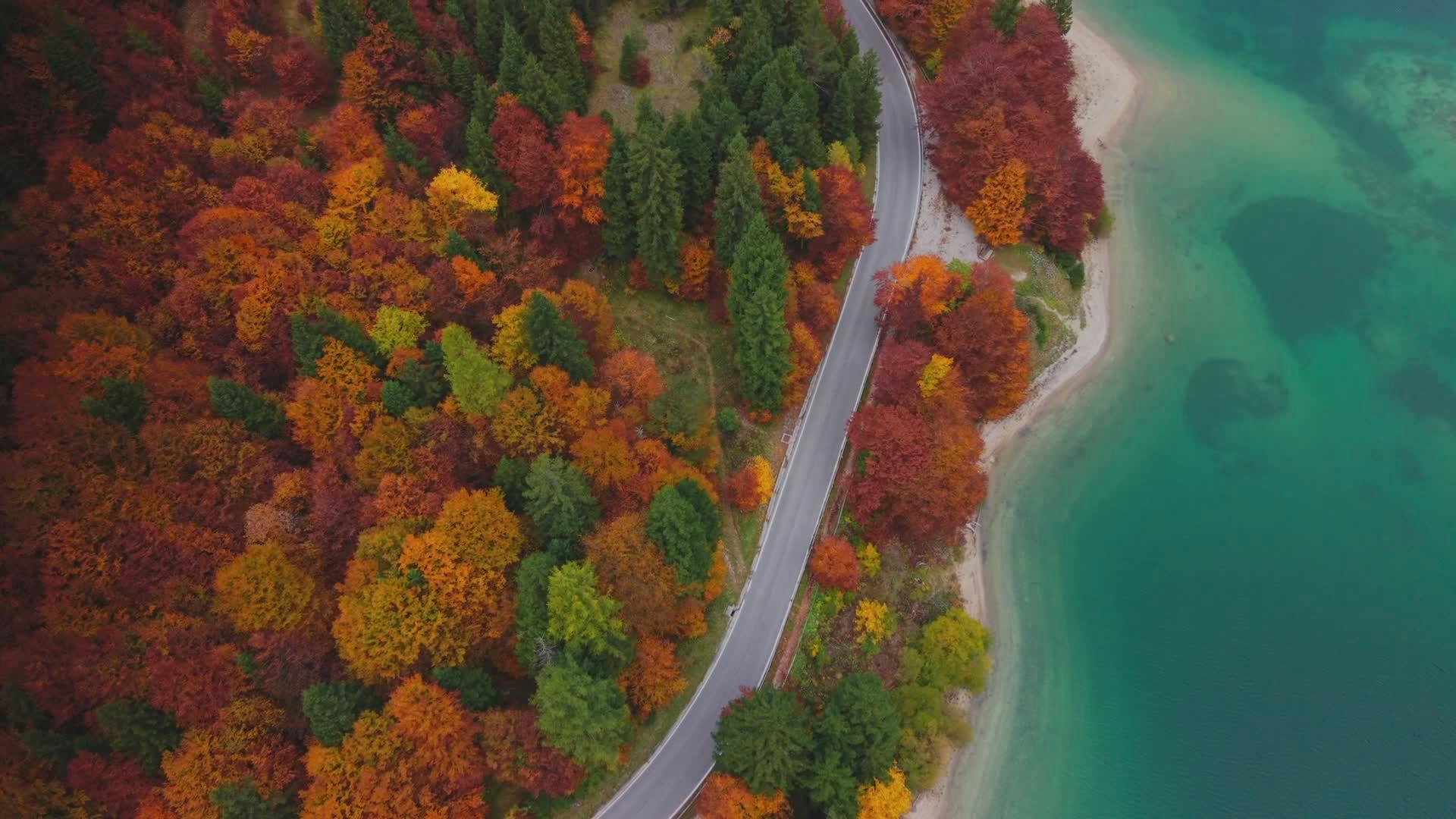 7 Ideas De Diferentes Tipos De Letra Simbolos De Letras Tipografias ...