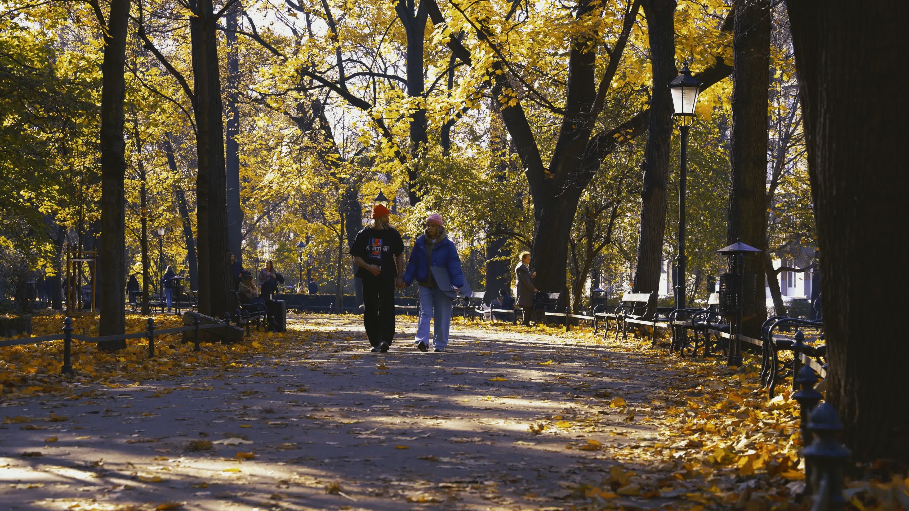 Autumn Stroll Through a Scenic Park Path Free Stock Video Footage ...