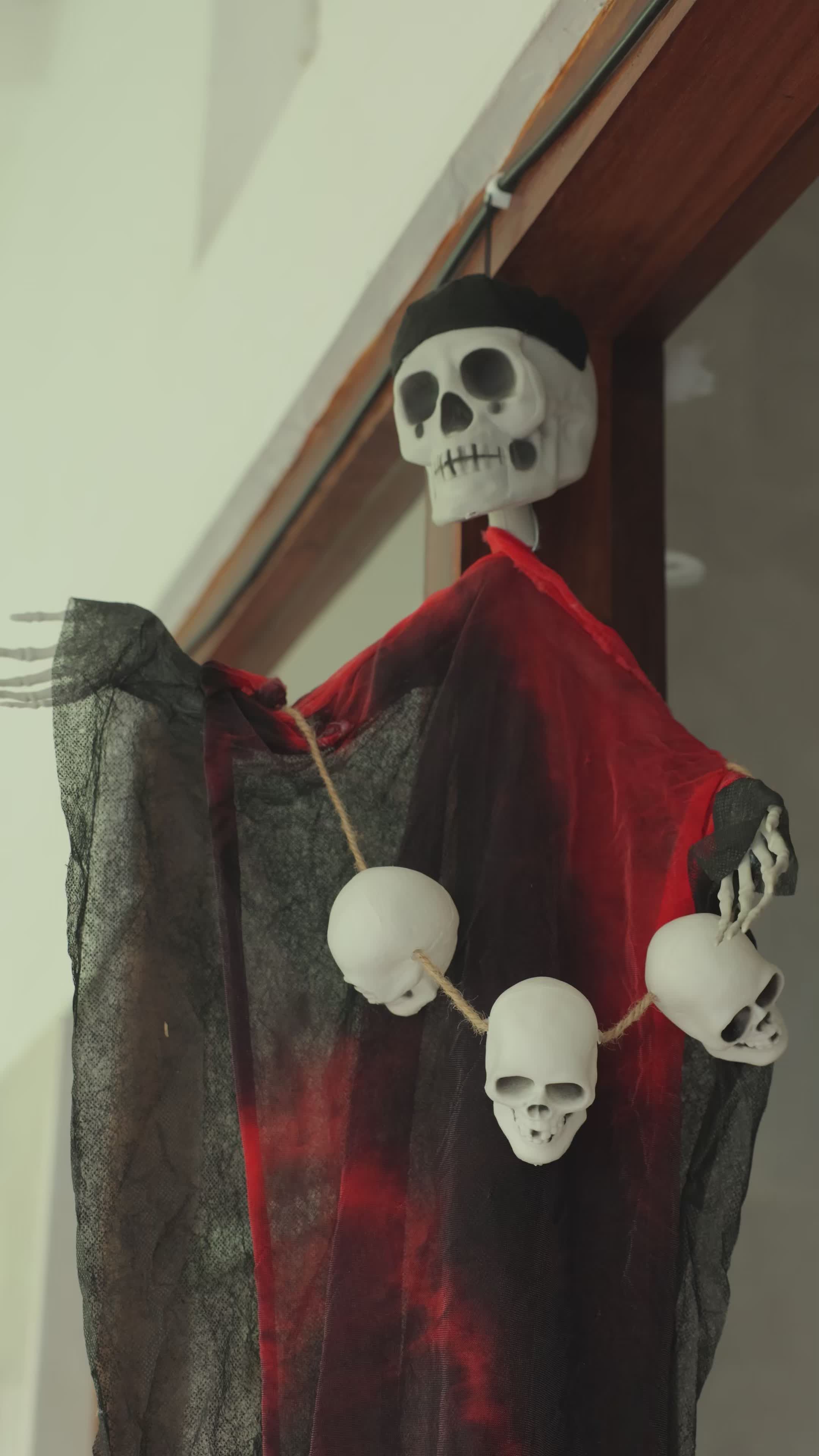 Haul Out The Halloween Videos, Download The BEST Free 4k Stock Video ...