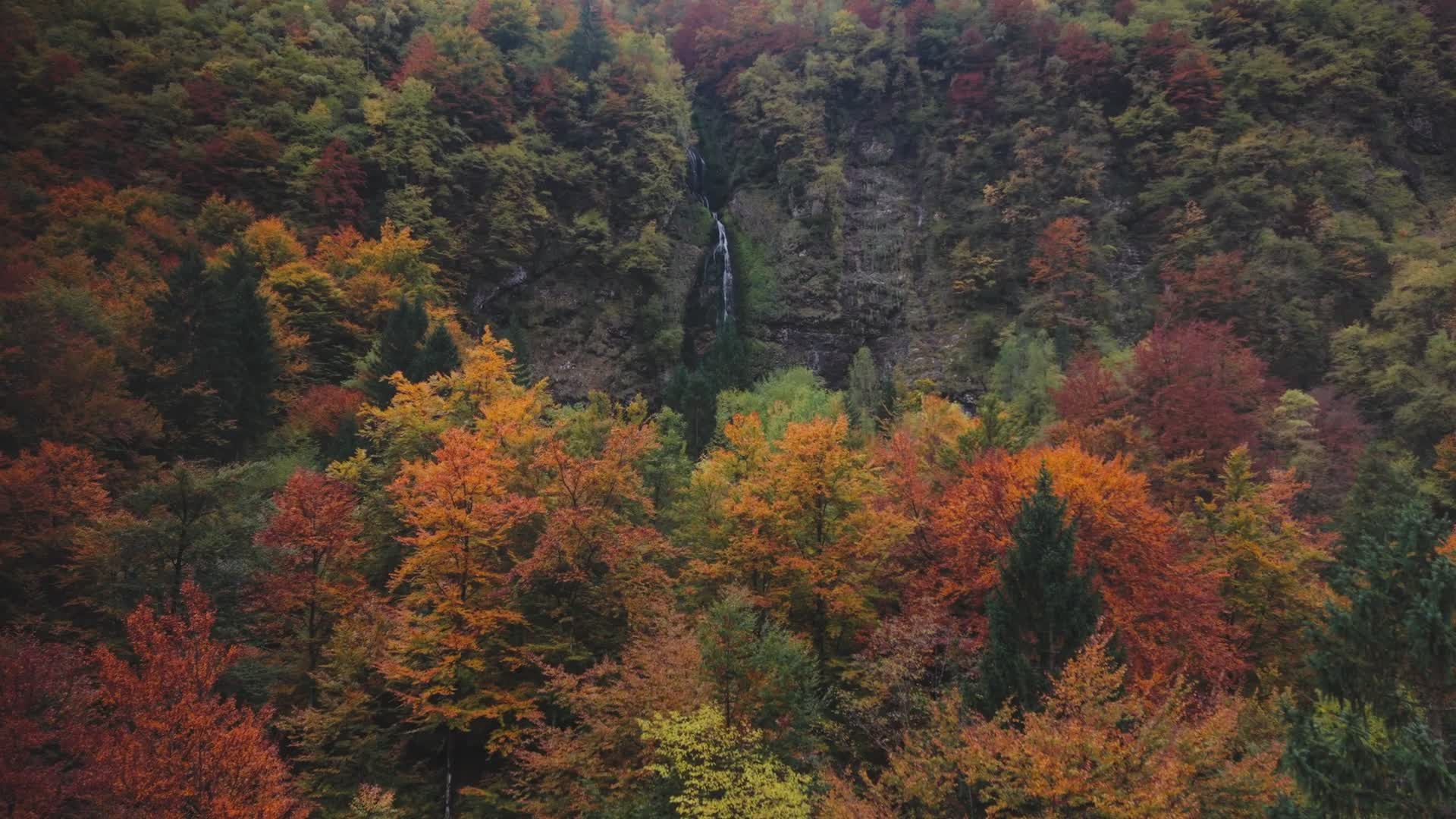 Stunning Autumn Aerial View with Waterfall Free Stock Video Footage ...