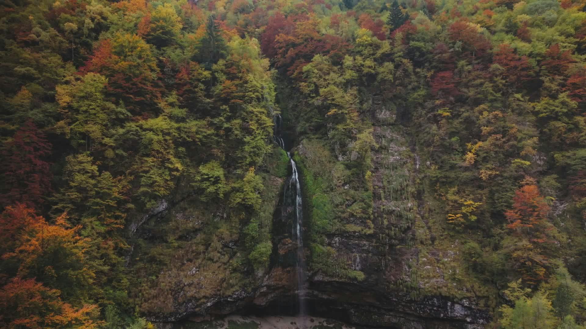 Easy Poster Colour Painting Tutorial For Beginners Step By Step Videos ...