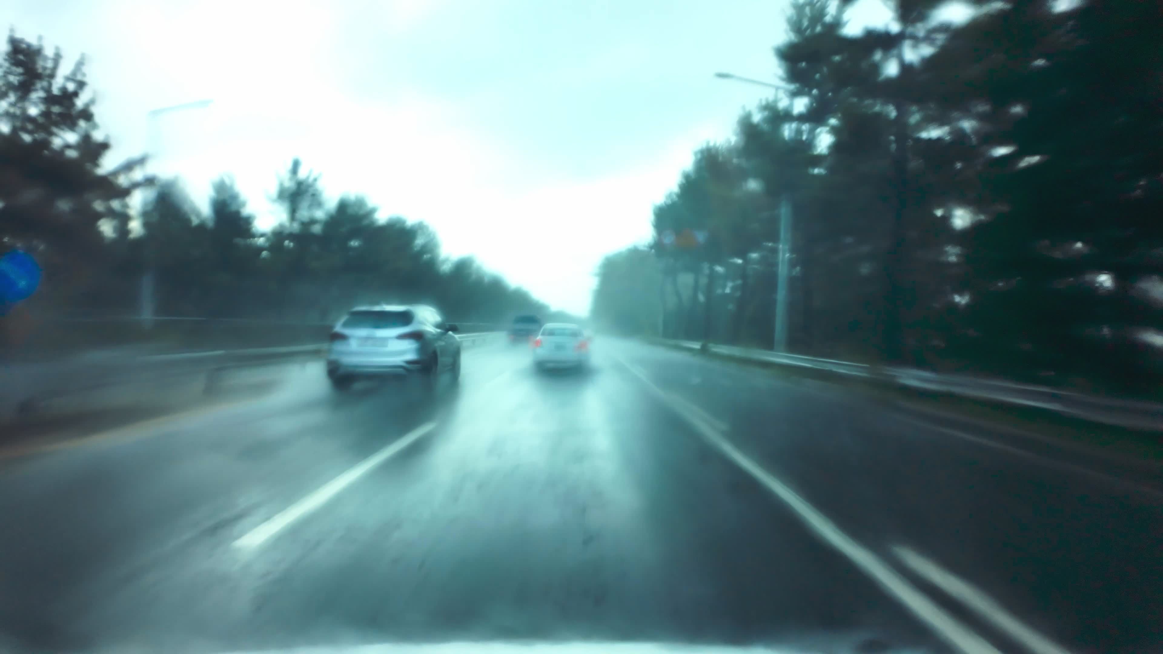 Driving Through Rainy Forest Roadway in 4K Free Stock Video Footage ...