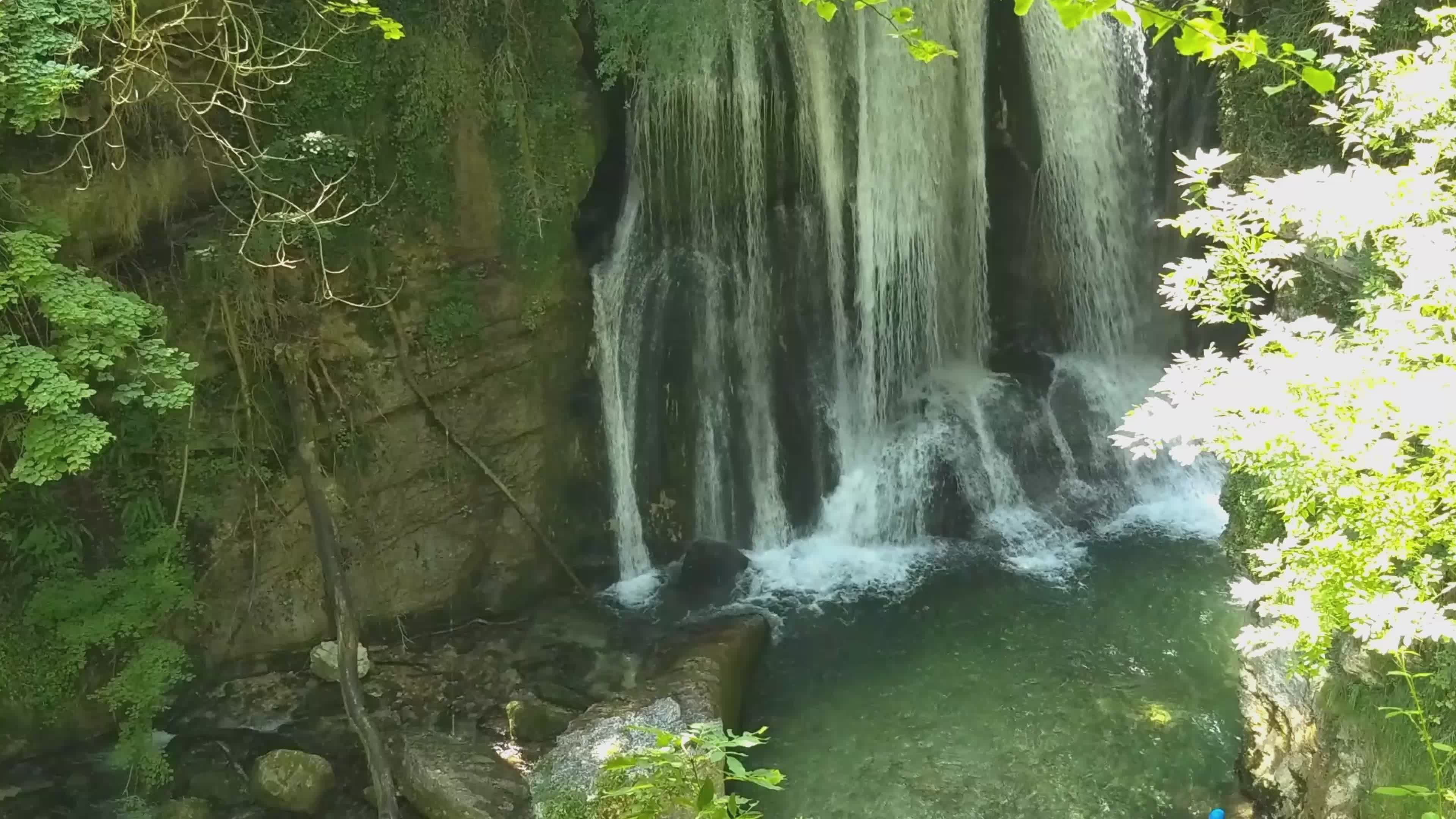 Beautiful Forest Waterfall in Daylight Free Stock Video Footage ...