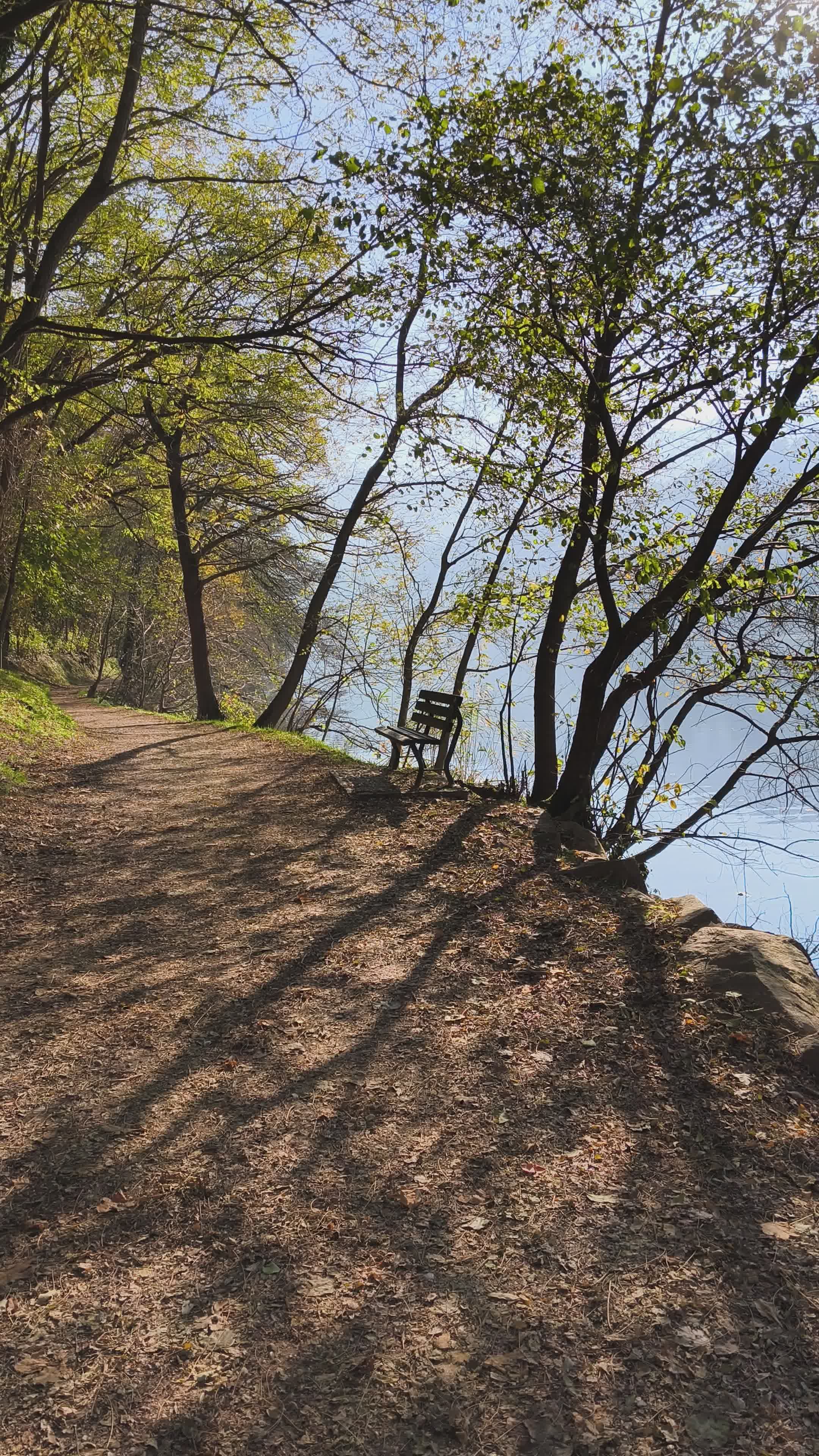 Tranquil Lakeside Path with Empty Bench Free Stock Video Footage ...