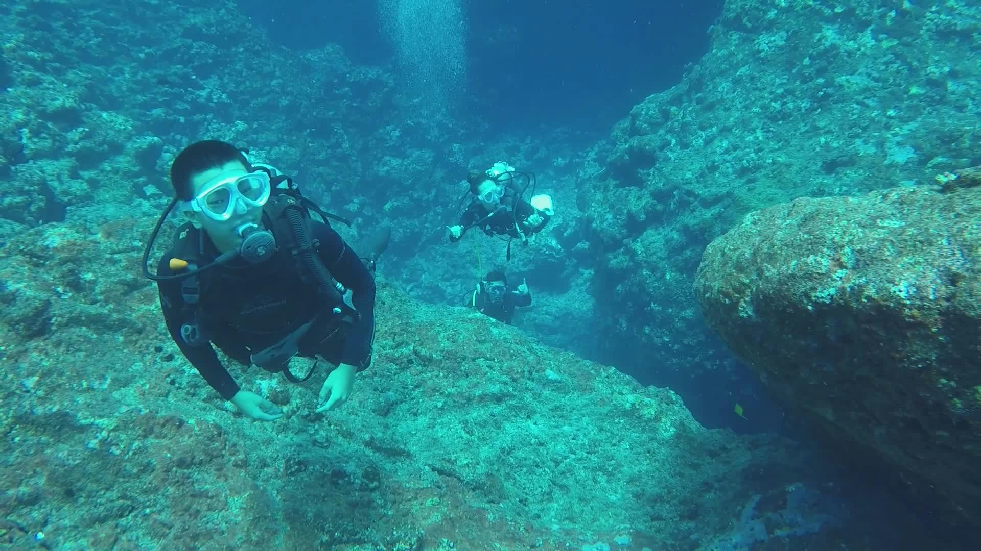 Aventura De Buceo Submarino En Un Arrecife De Coral Prístino · Vídeo de ...