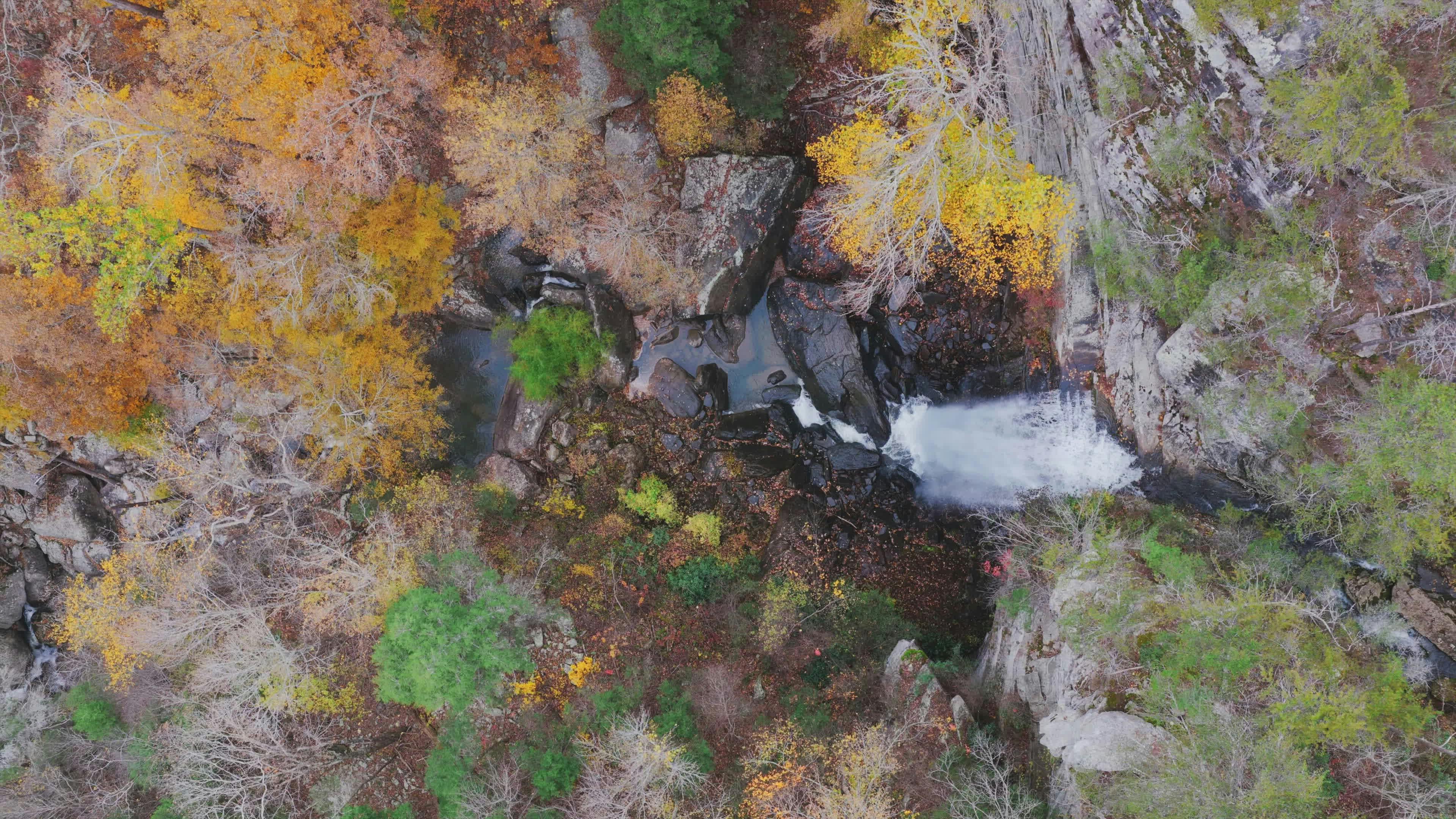 Aerial View of Autumn Waterfall in Tennessee Free Stock Video Footage ...