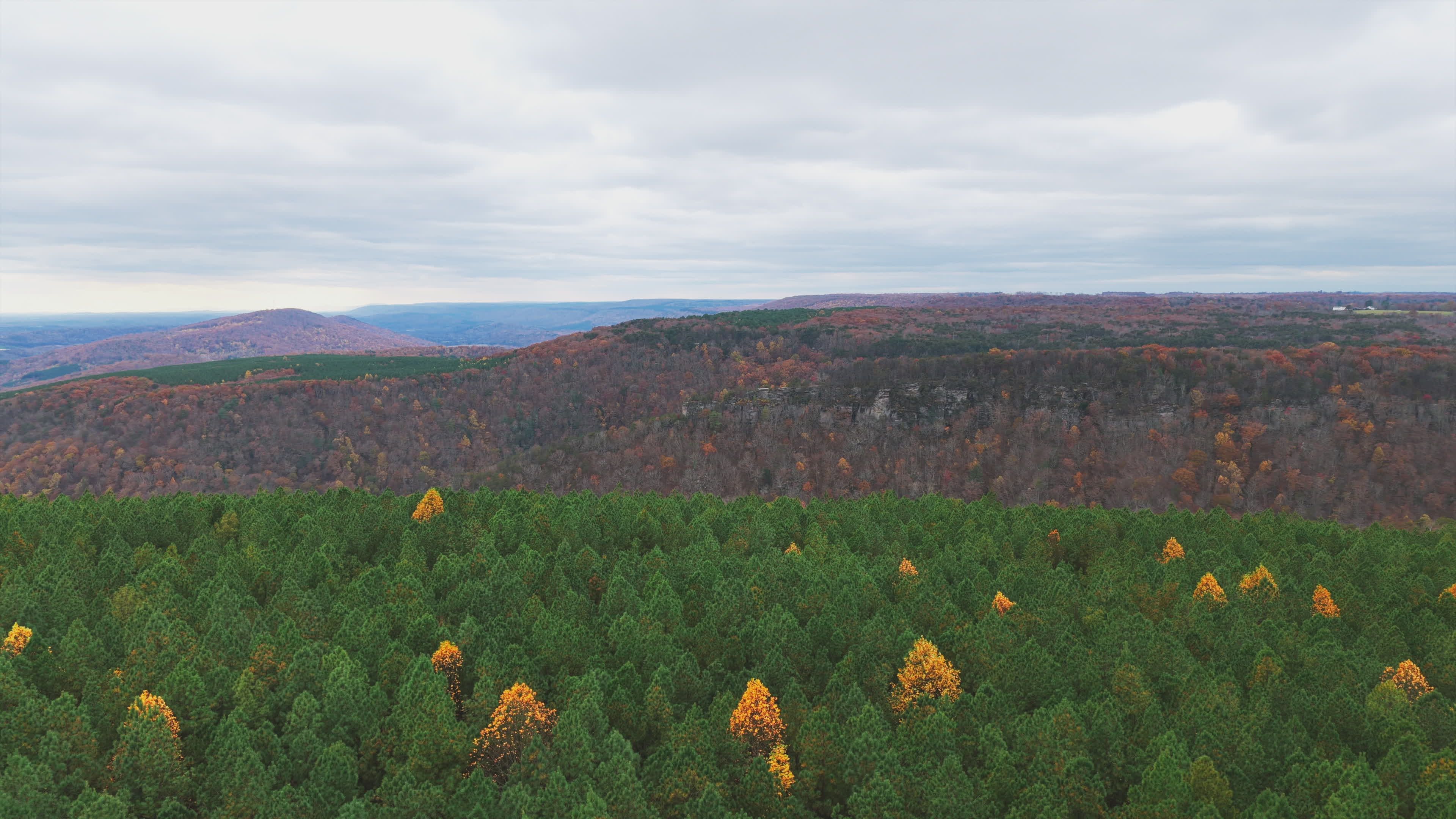 Scenic Aerial View of Tennessee Forests Free Stock Video Footage ...