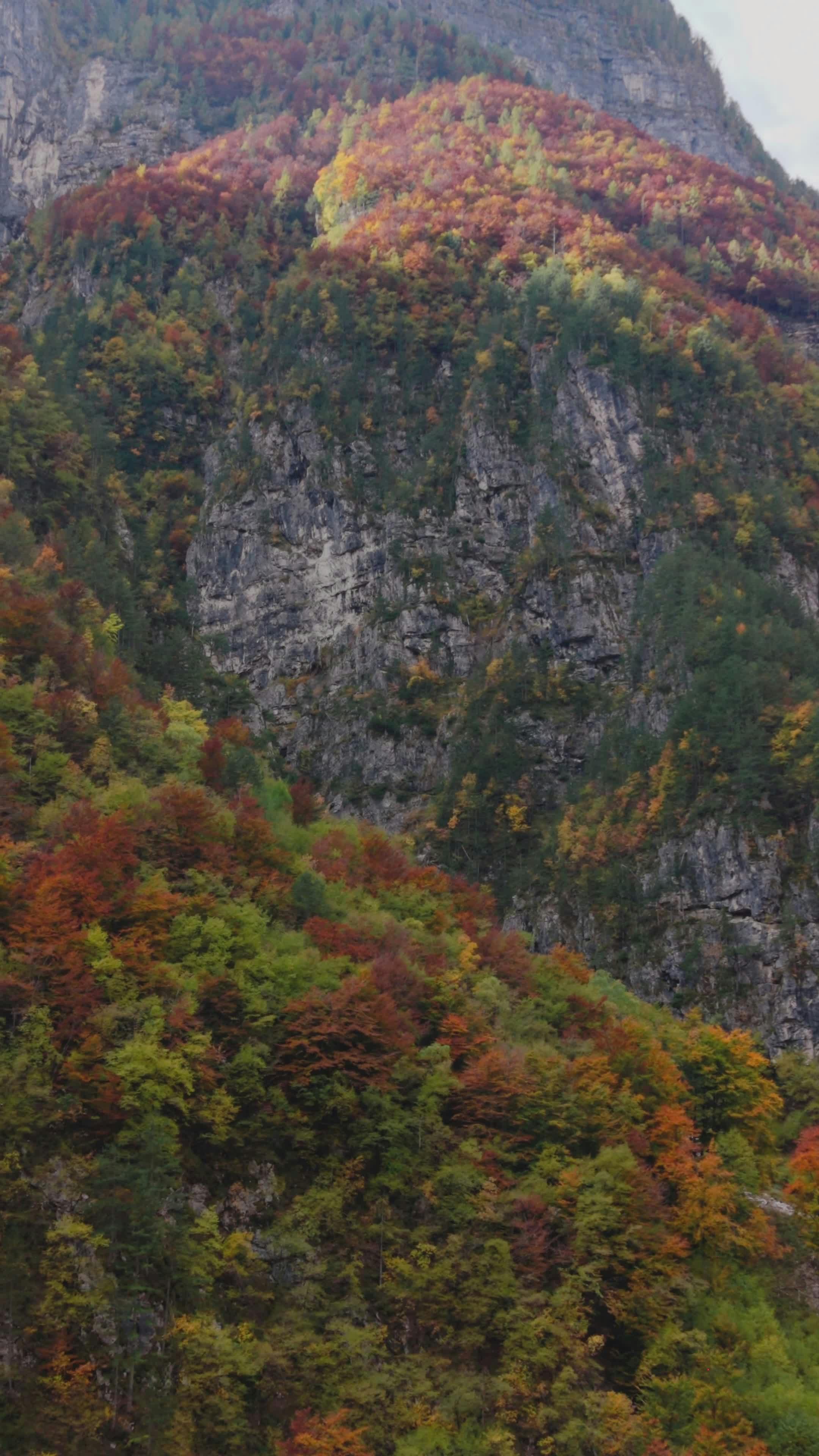 Pemandangan Pegunungan Musim Gugur Yang Menakjubkan · Video Stok Gratis