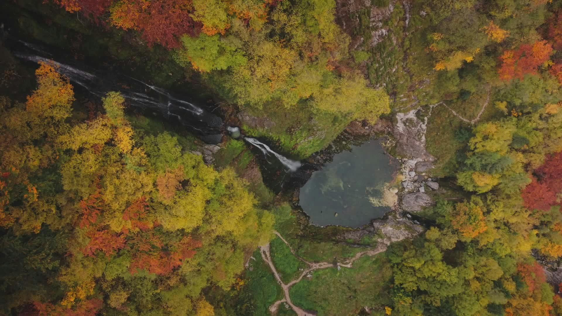 Aerial View of Autumn Waterfall in Lush Forest Free Stock Video Footage ...