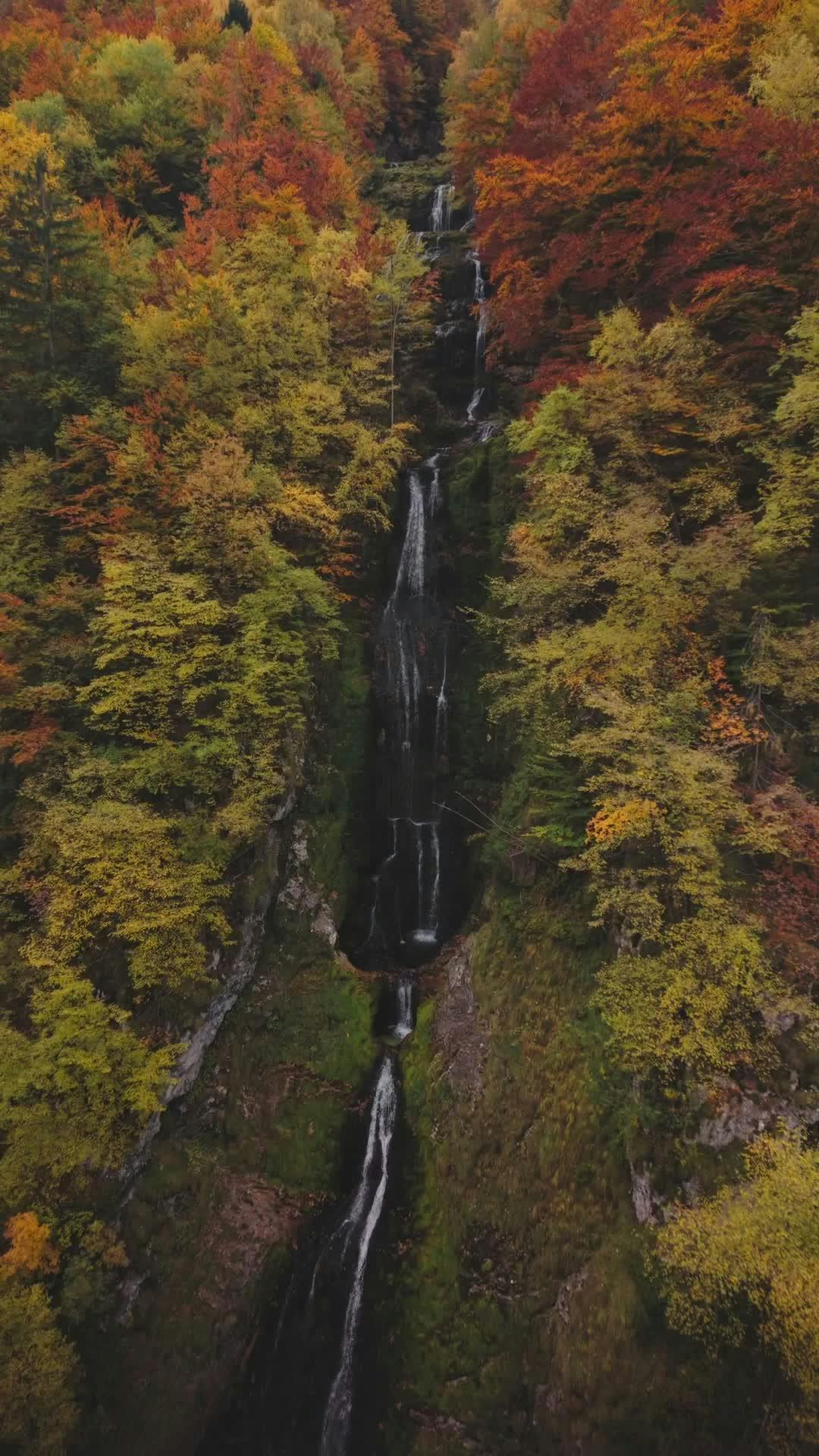 Aerial View of Autumn Waterfall in Lush Forest Free Stock Video Footage ...
