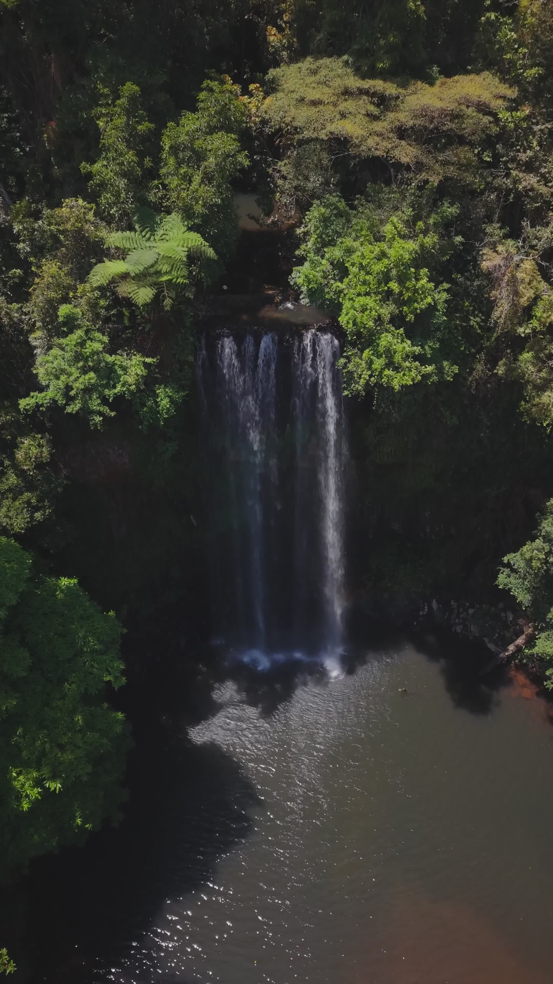 Unsplash Videos, Download The BEST Free 4k Stock Video Footage ...