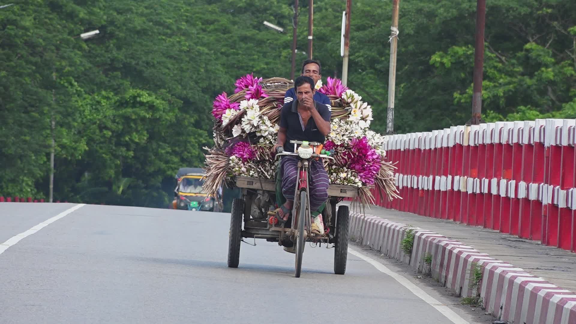 Cycle Rickshaw Carrying Water Lilies in Bangladesh Free Stock Video ...