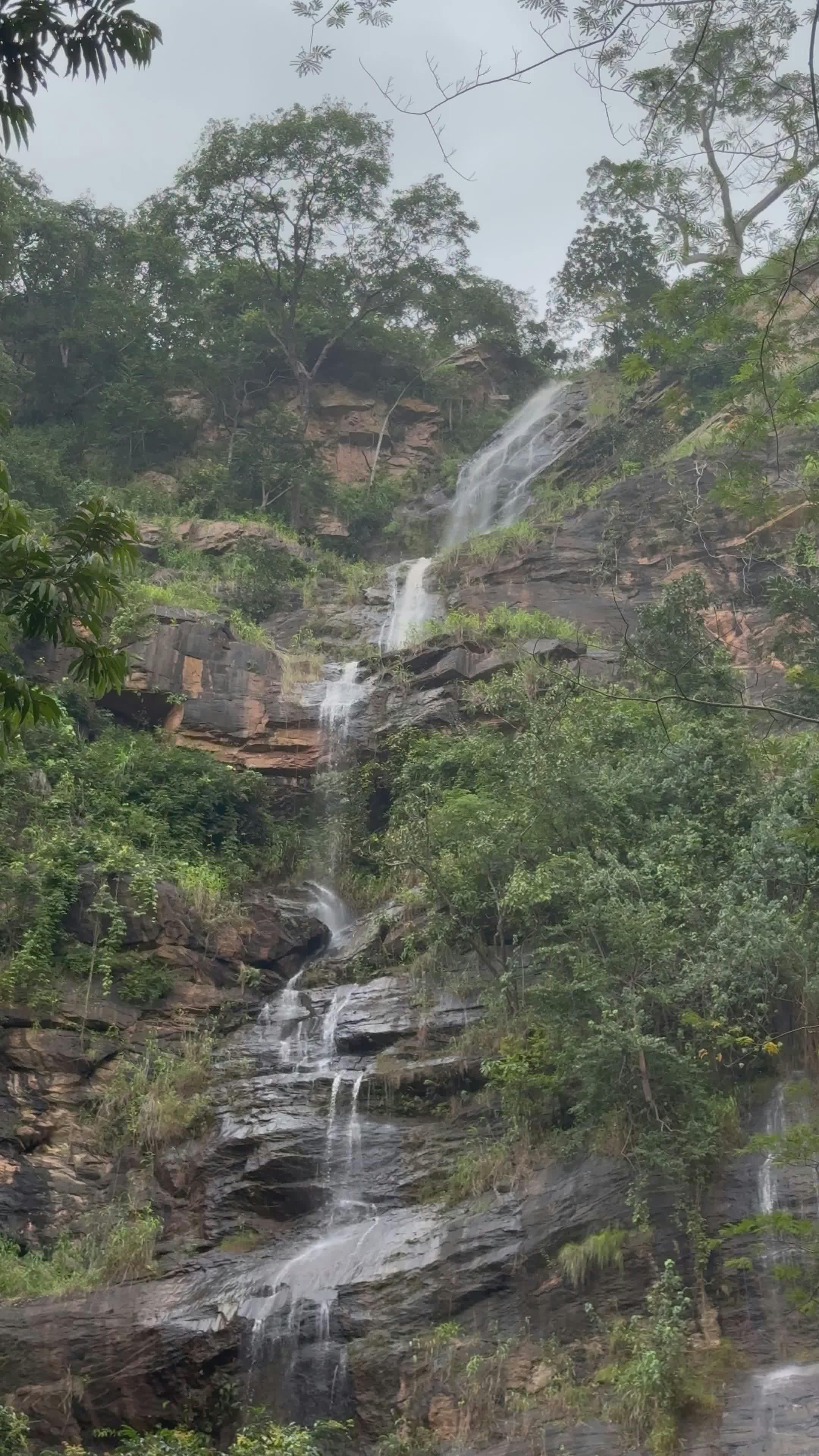 Serene Waterfall in Lush Green Forest Free Stock Video Footage, Royalty ...