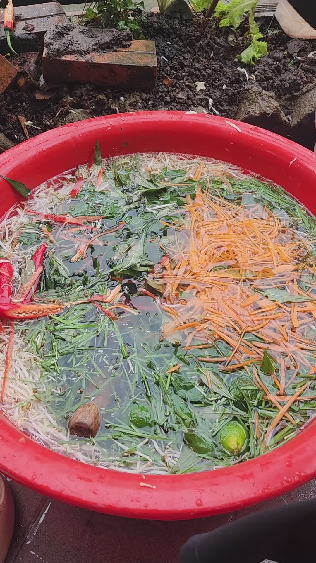 Vibrant Fresh Vegetables in Water for Cooking Free Stock Video Footage ...