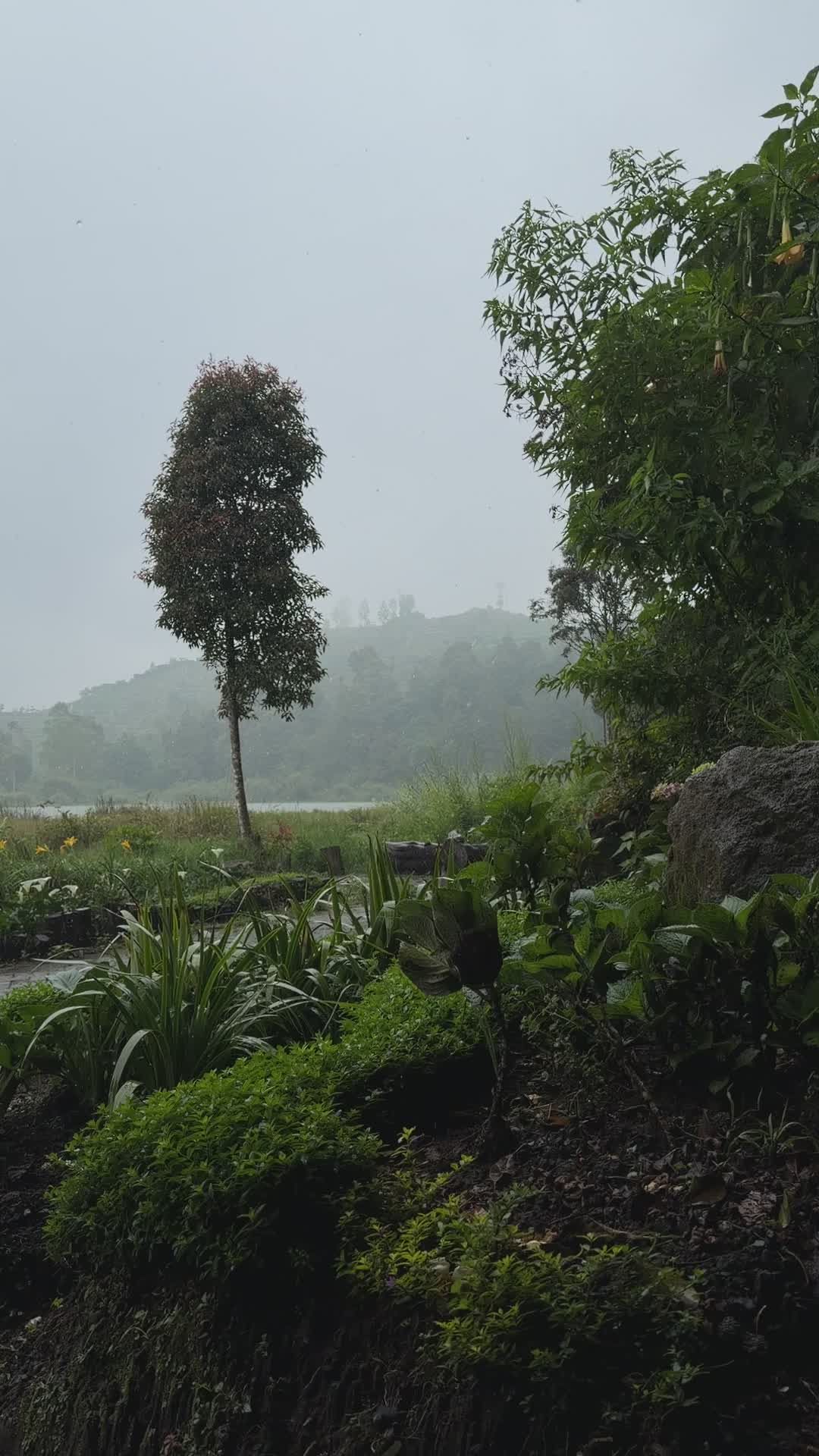Megan Fox Before And After Plastic Surgery Videos Download The Best 0680
