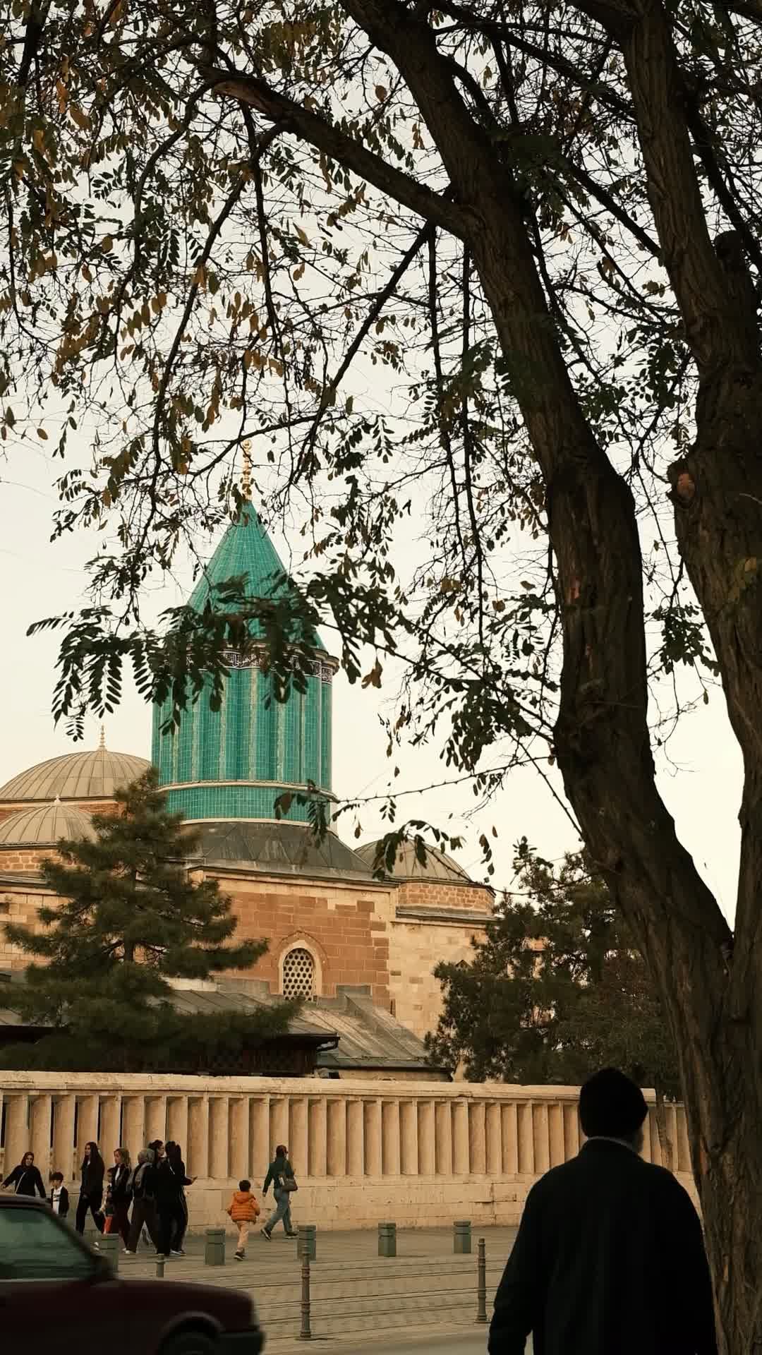 Majestic Mosque Domes with Lush Greenery Free Stock Video Footage ...