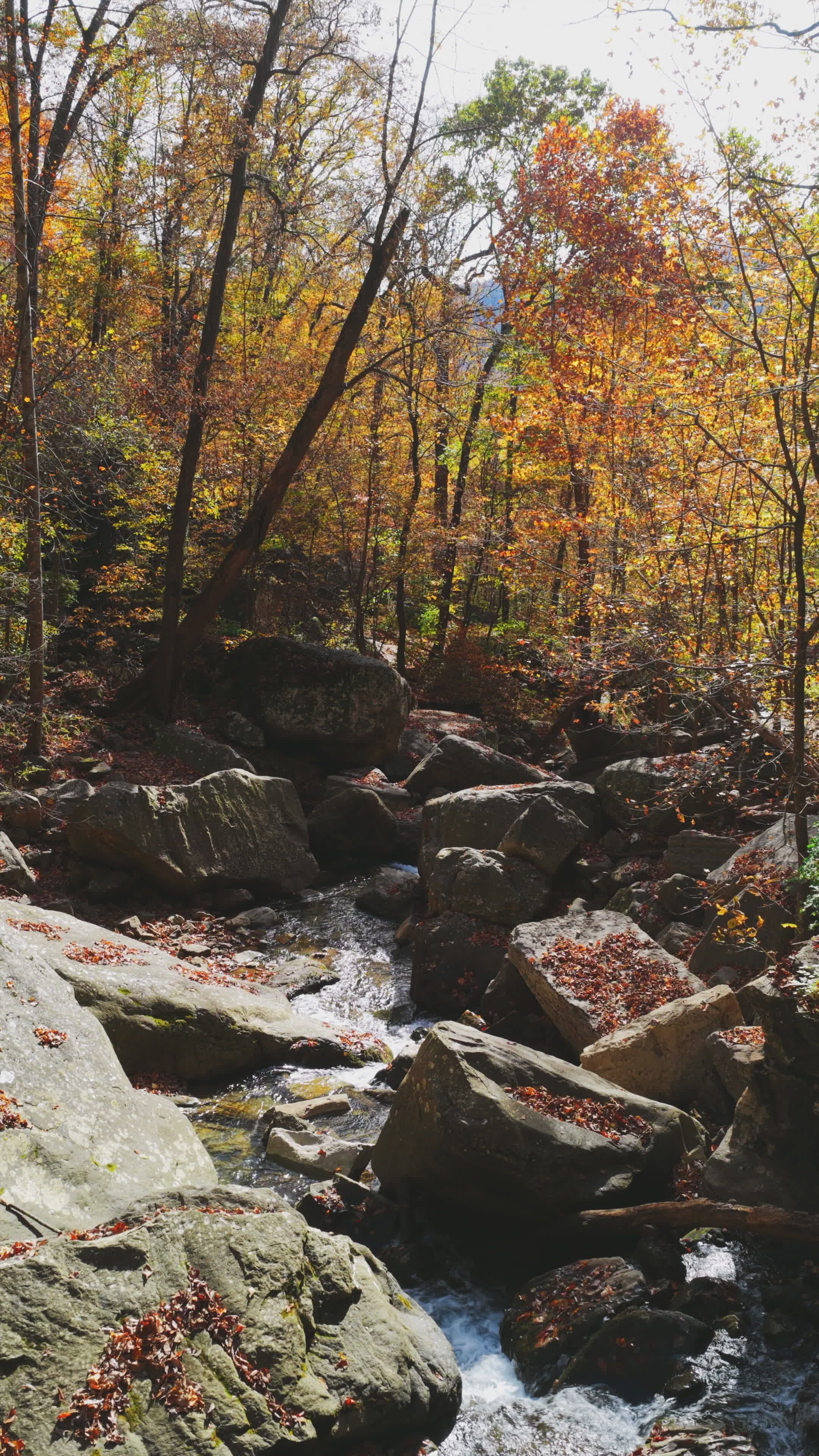 Scenic Autumn Creek in Tennessee Forest Free Stock Video Footage ...