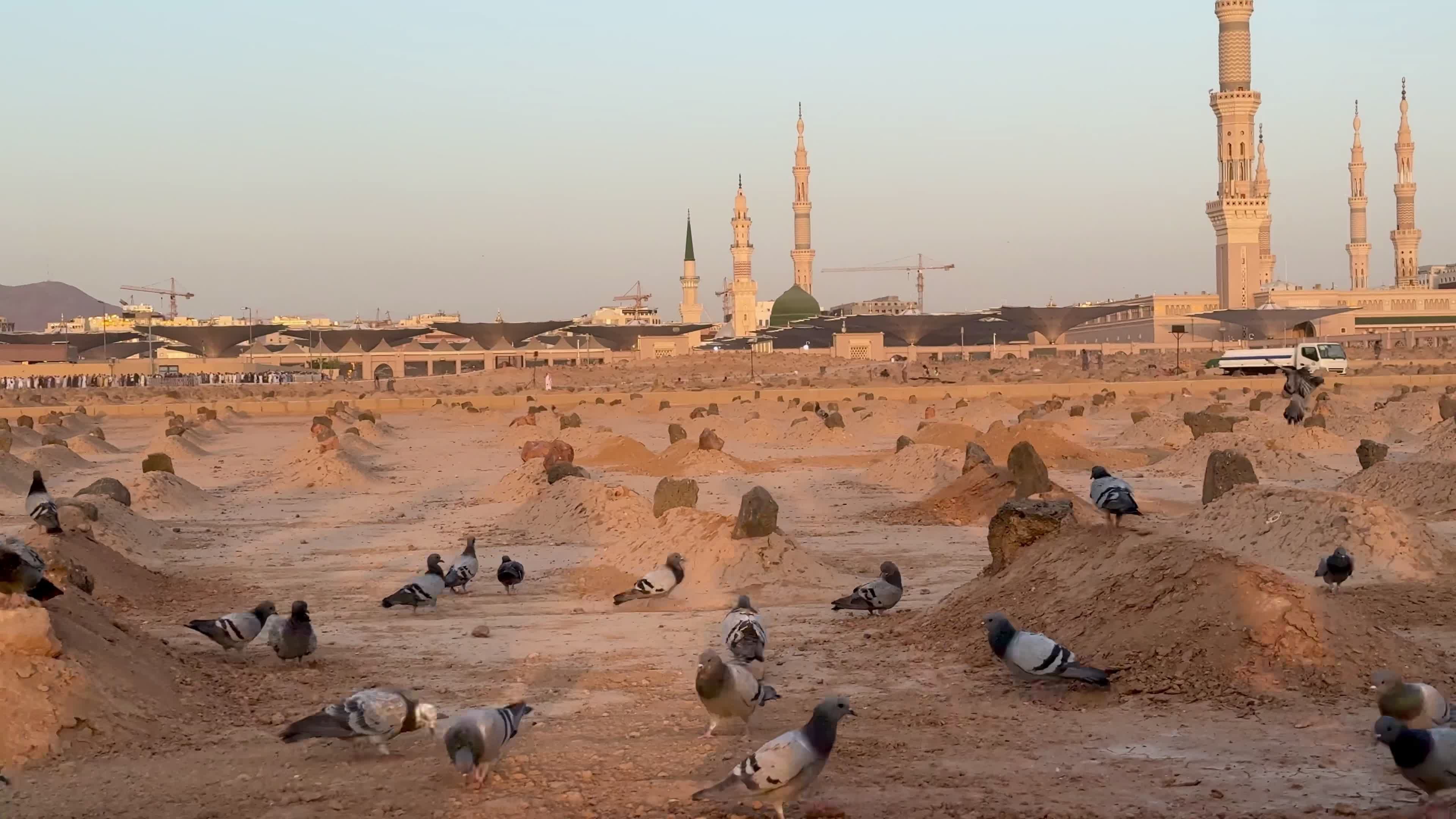 Pigeons and Scenic View of Medina Mosque Free Stock Video Footage ...