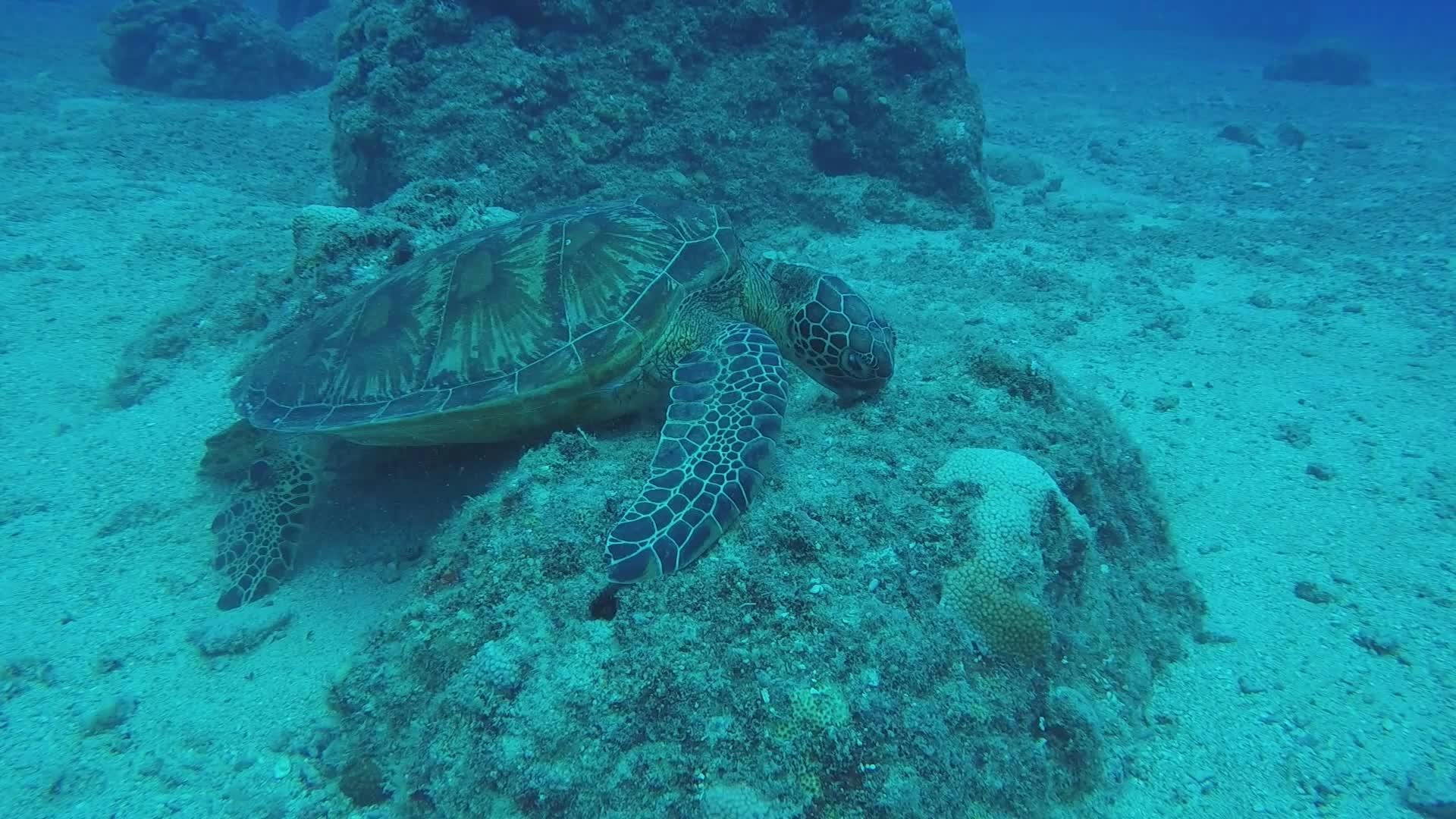 I 10.000+ migliori video di Pq=.n Fre&qs=n&form=qbre&sp=-1&lq=0&pq=.n Frew&sc=12-7&sk=&cvid ...