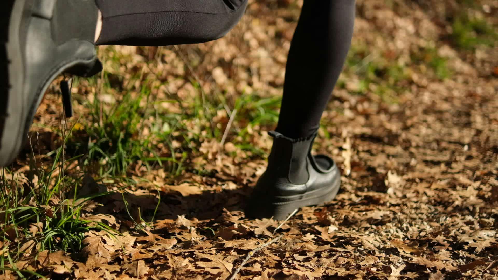 Autumn Trail Running in Nature, Close-up Free Stock Video Footage ...