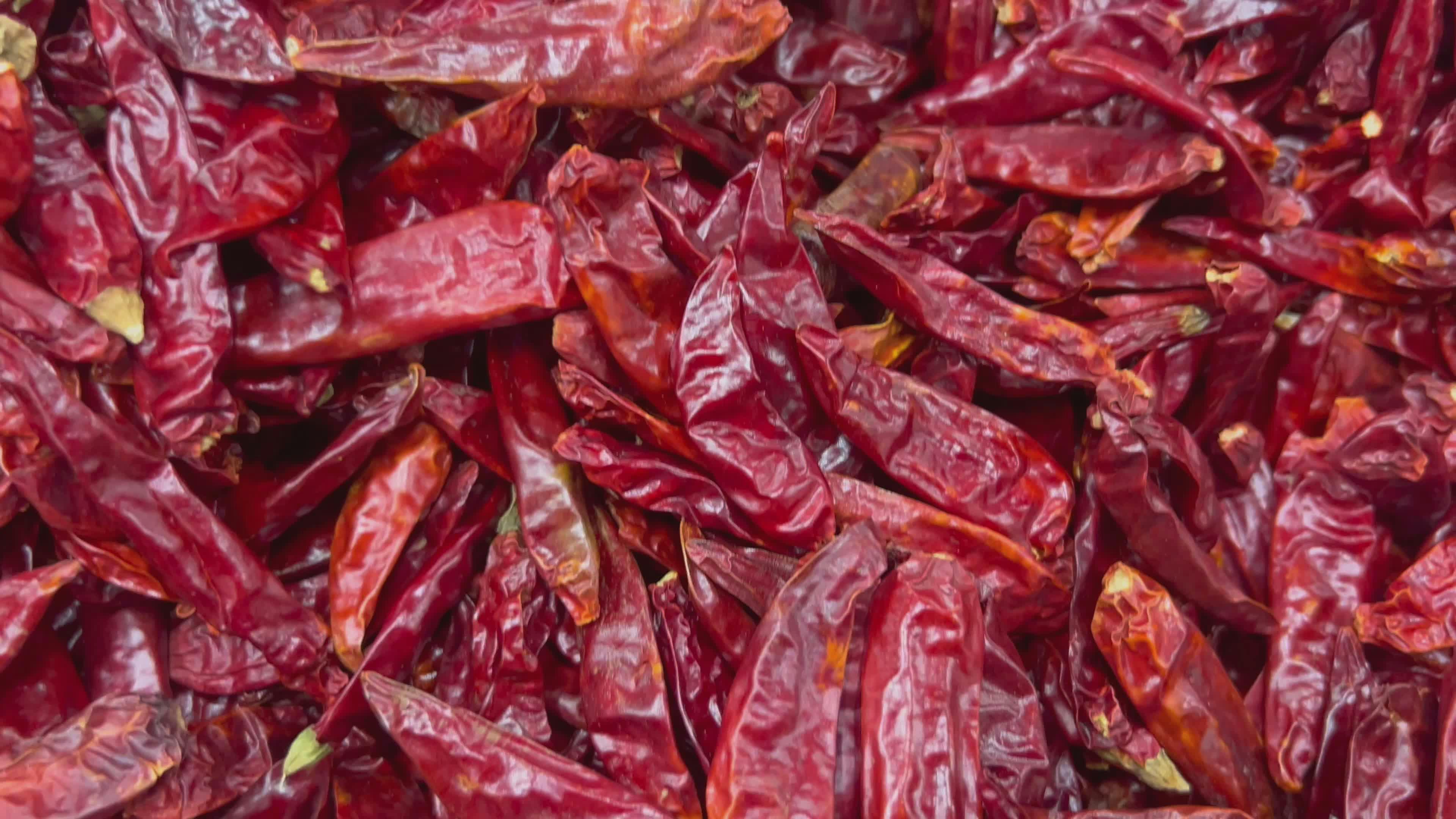 Red Chili Powder Videos, Download The BEST Free 4k Stock Video Footage ...