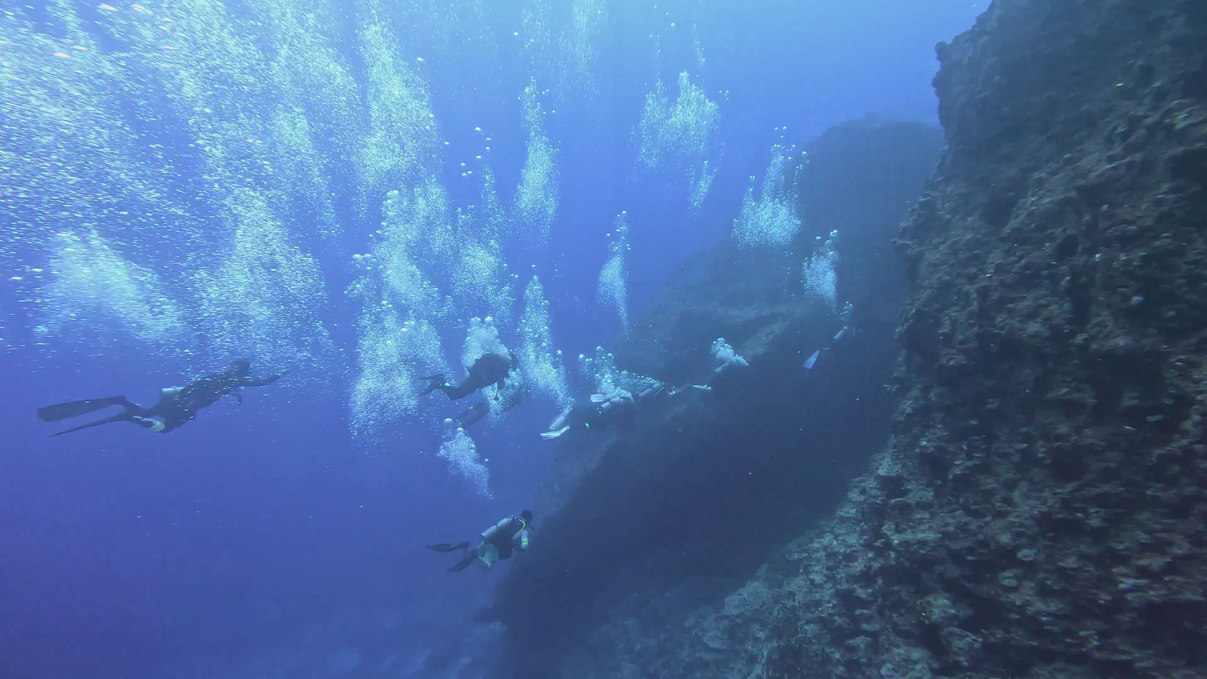 Underwater Dive with Divers by Rocky Cliff Free Stock Video Footage ...