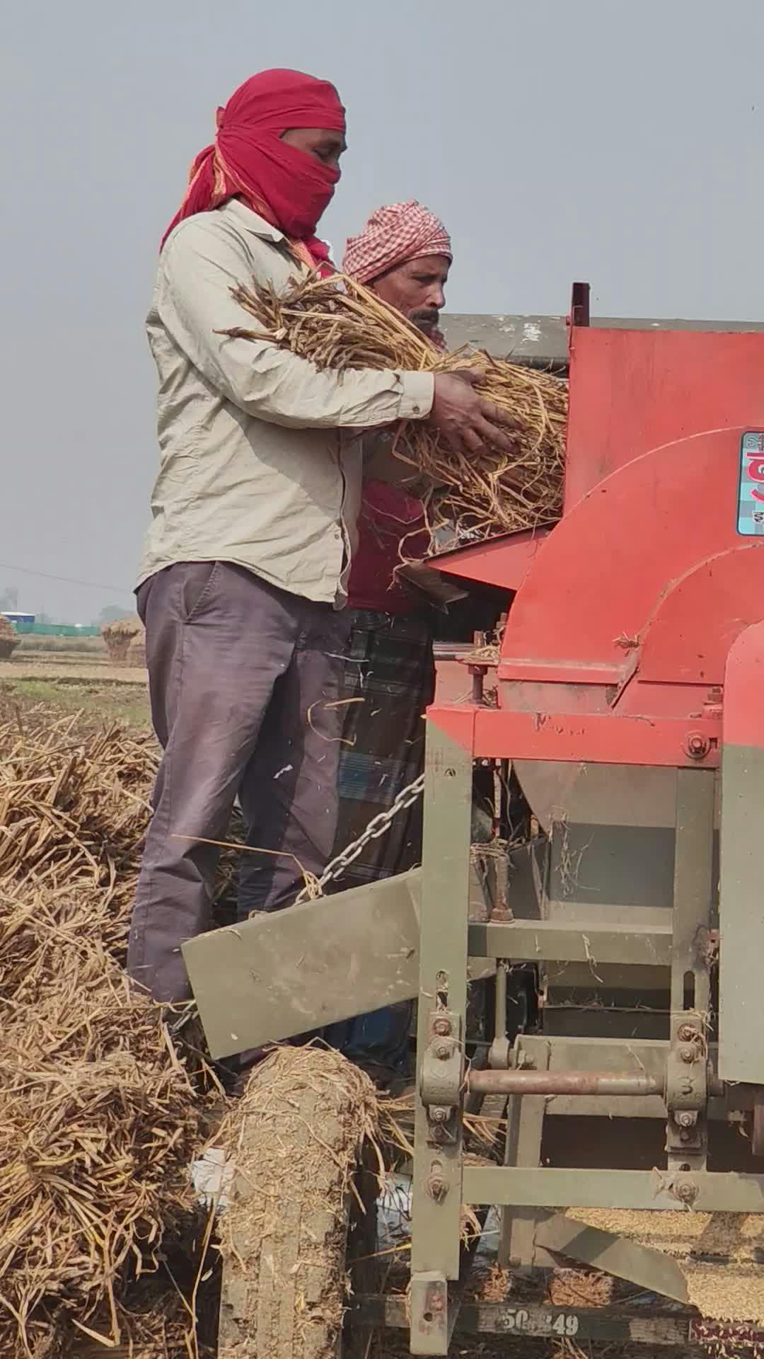 Efficient Farming with Threshing Machine Free Stock Video Footage ...