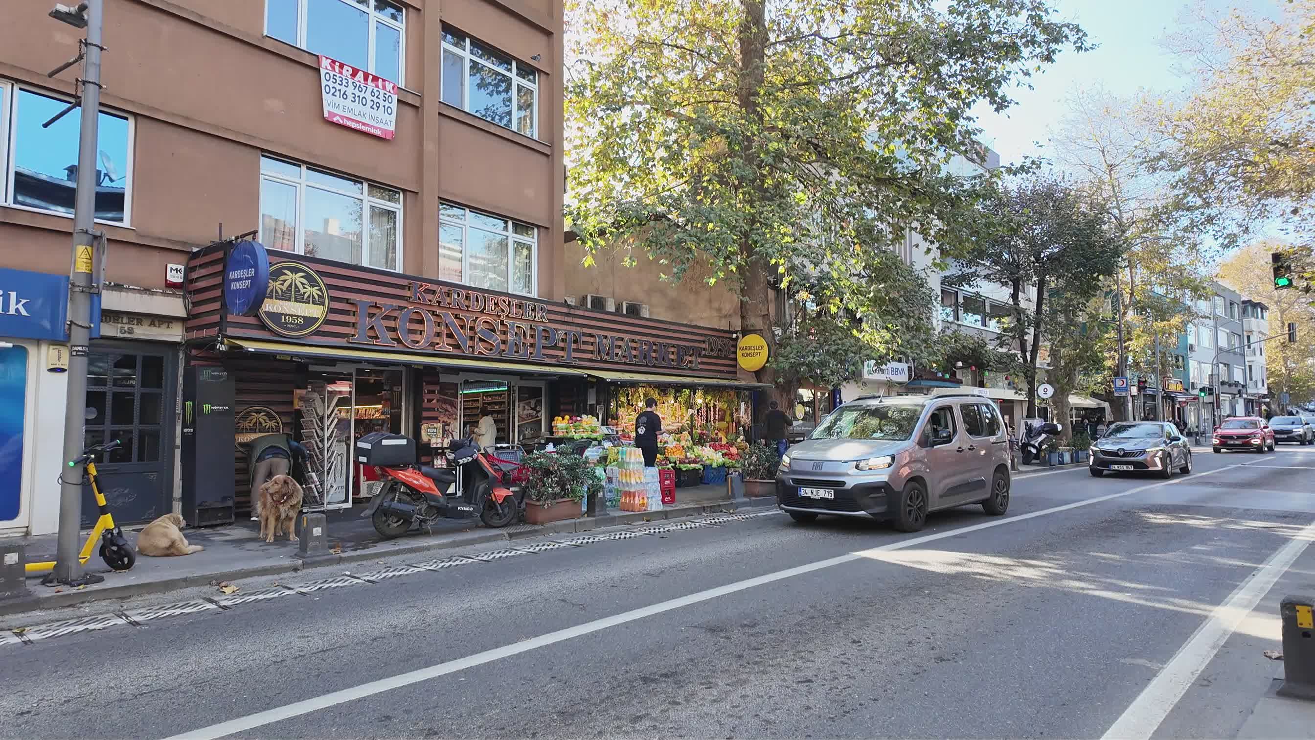 Coorg Market Videos, Download The BEST Free 4k Stock Video Footage ...