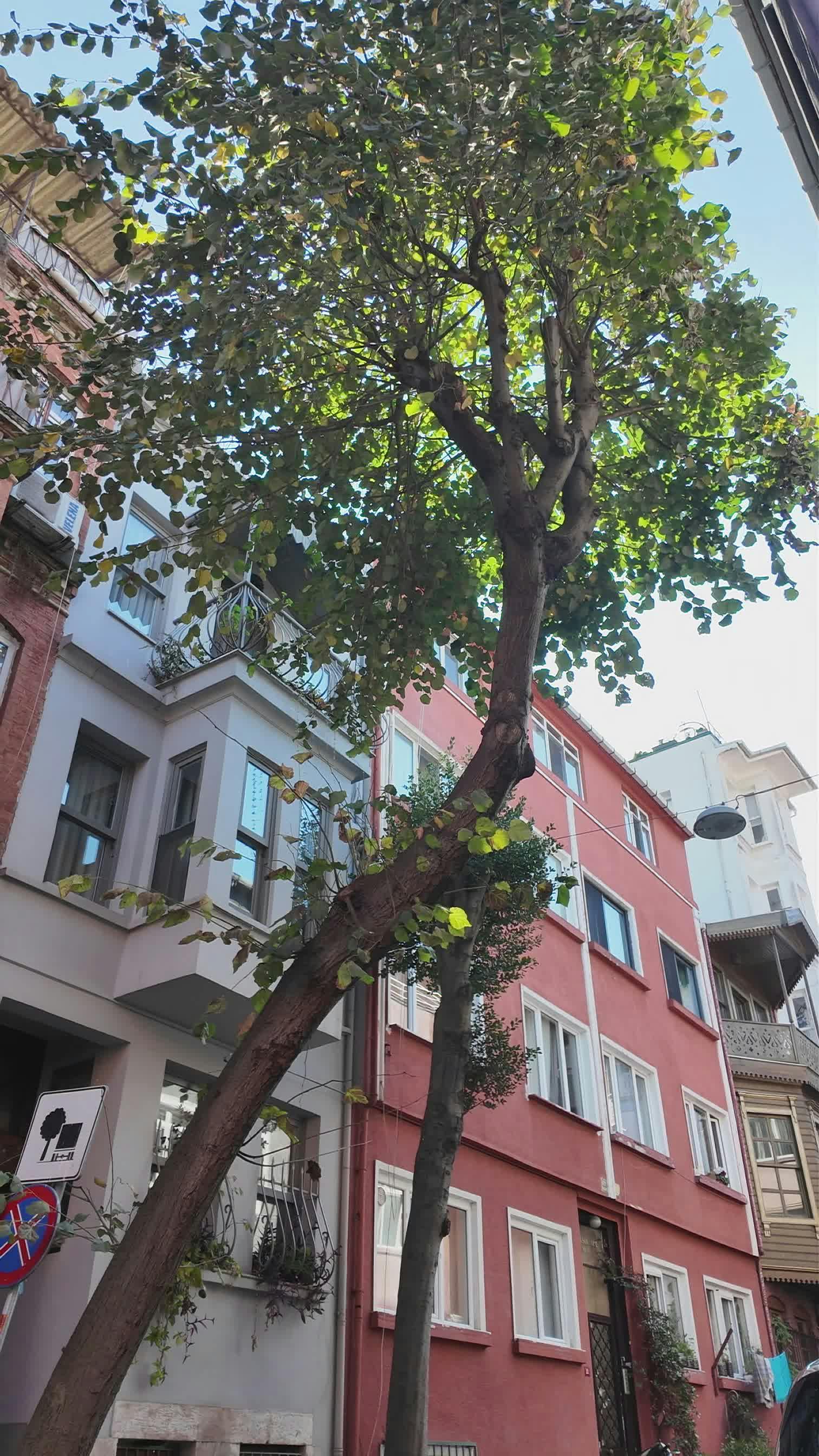 Charming Historic Street View with Colorful Buildings Free Stock Video ...