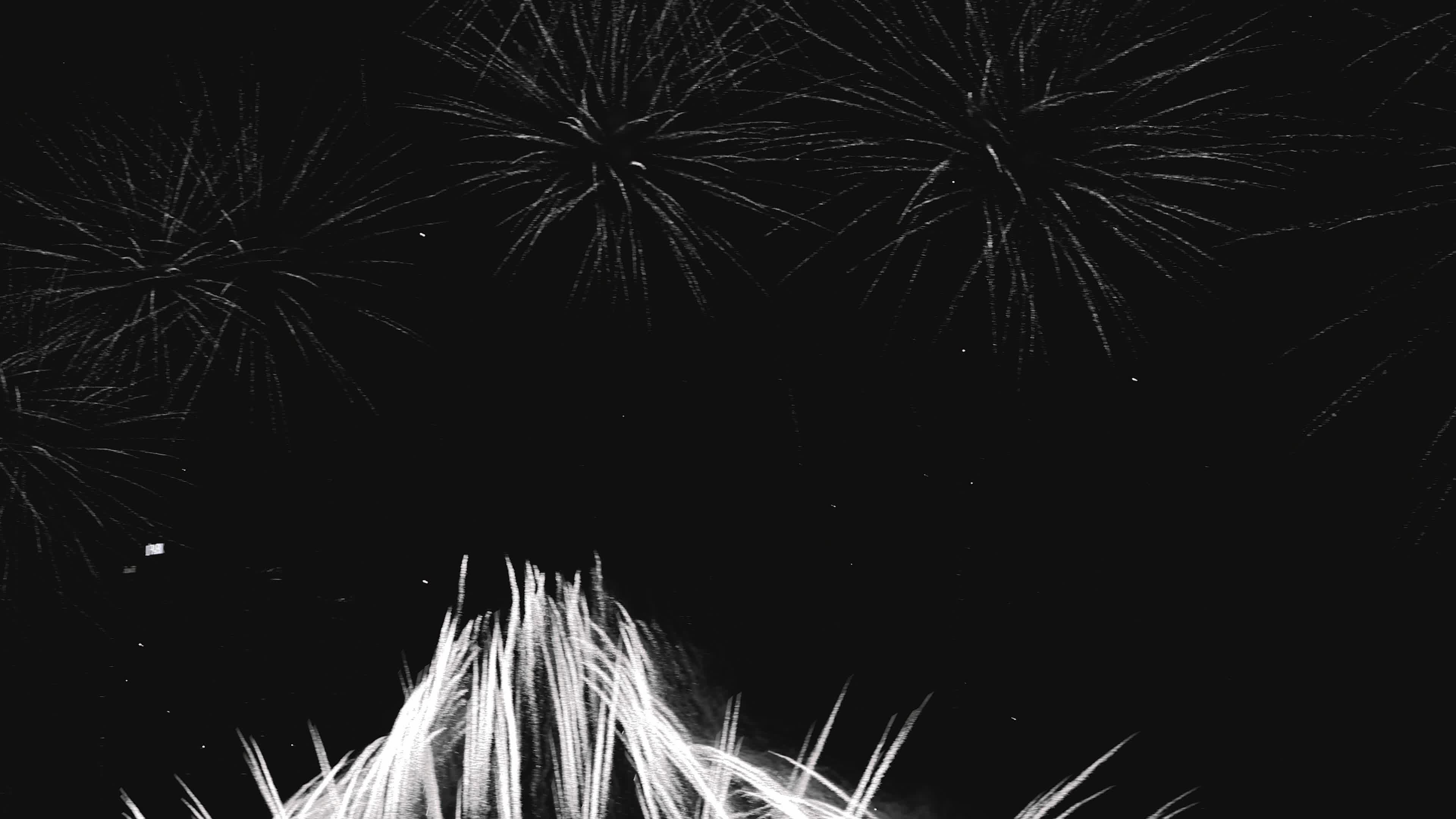 Spectacular Black and White Firework Display Free Stock Video Footage ...