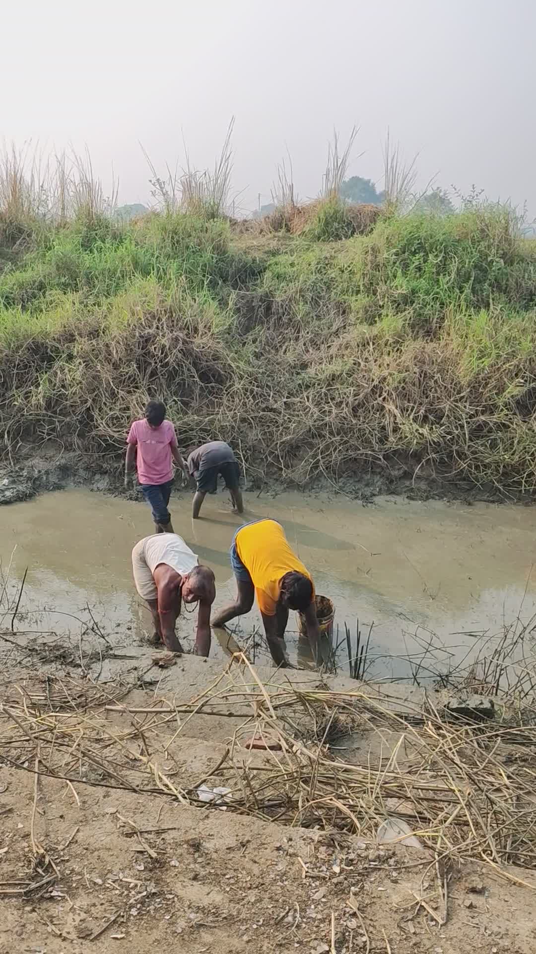 Men Searching for Fish in Muddy Water Outdoors Free Stock Video Footage ...