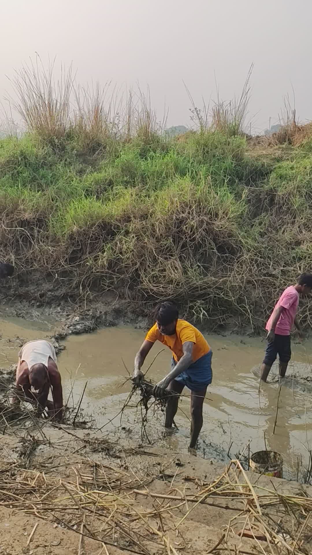 Traditional Fish Catching in Rural Streams Free Stock Video Footage ...