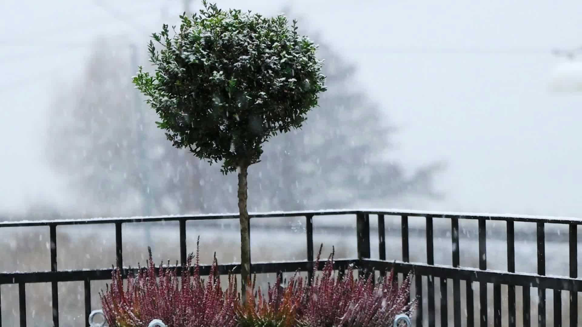 Balcony Sober Videos, Download The BEST Free 4k Stock Video Footage & Balcony Sober HD Video Clips