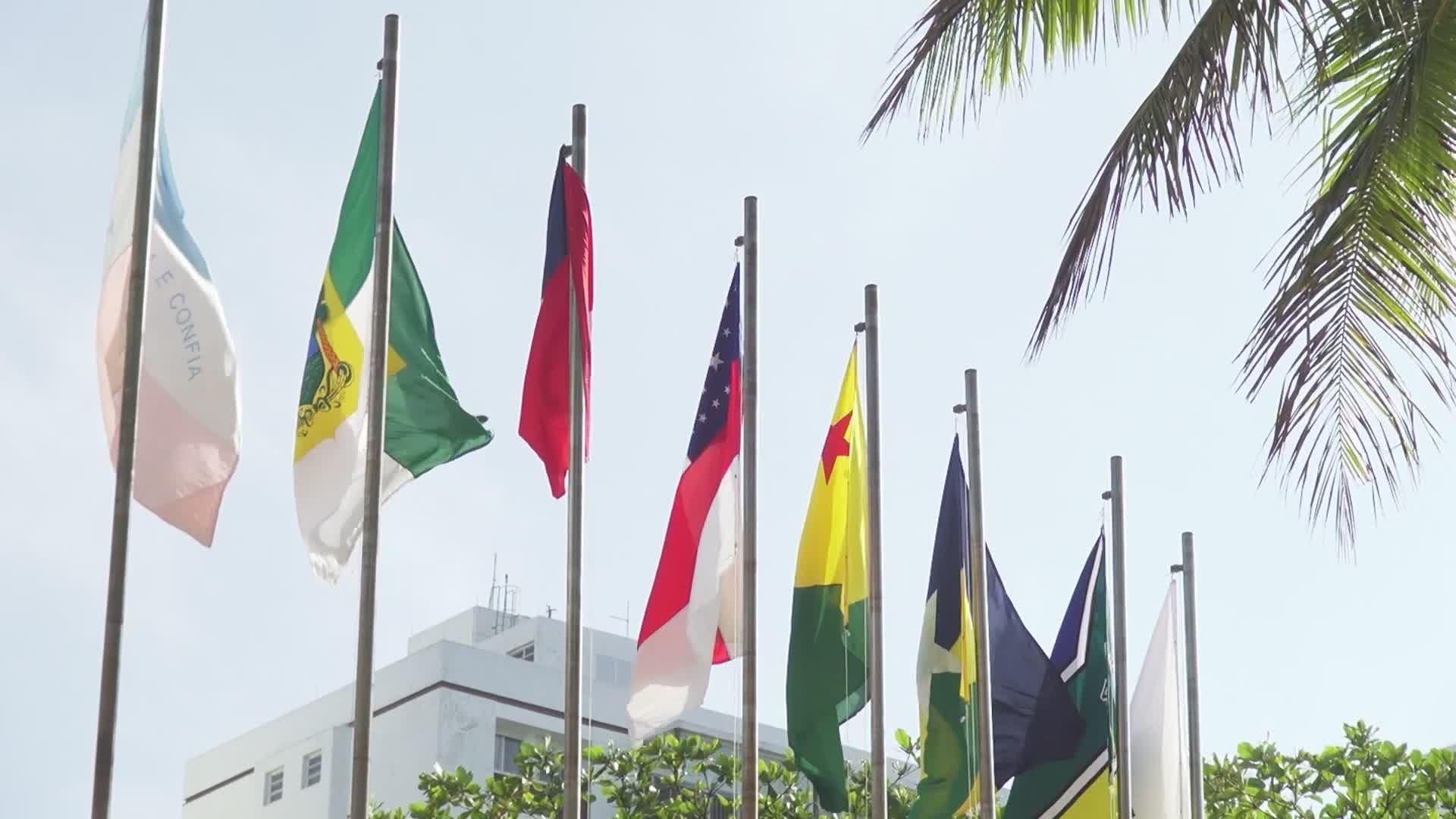 National Flags of Different Countries Waving on Poles Free Stock Video ...