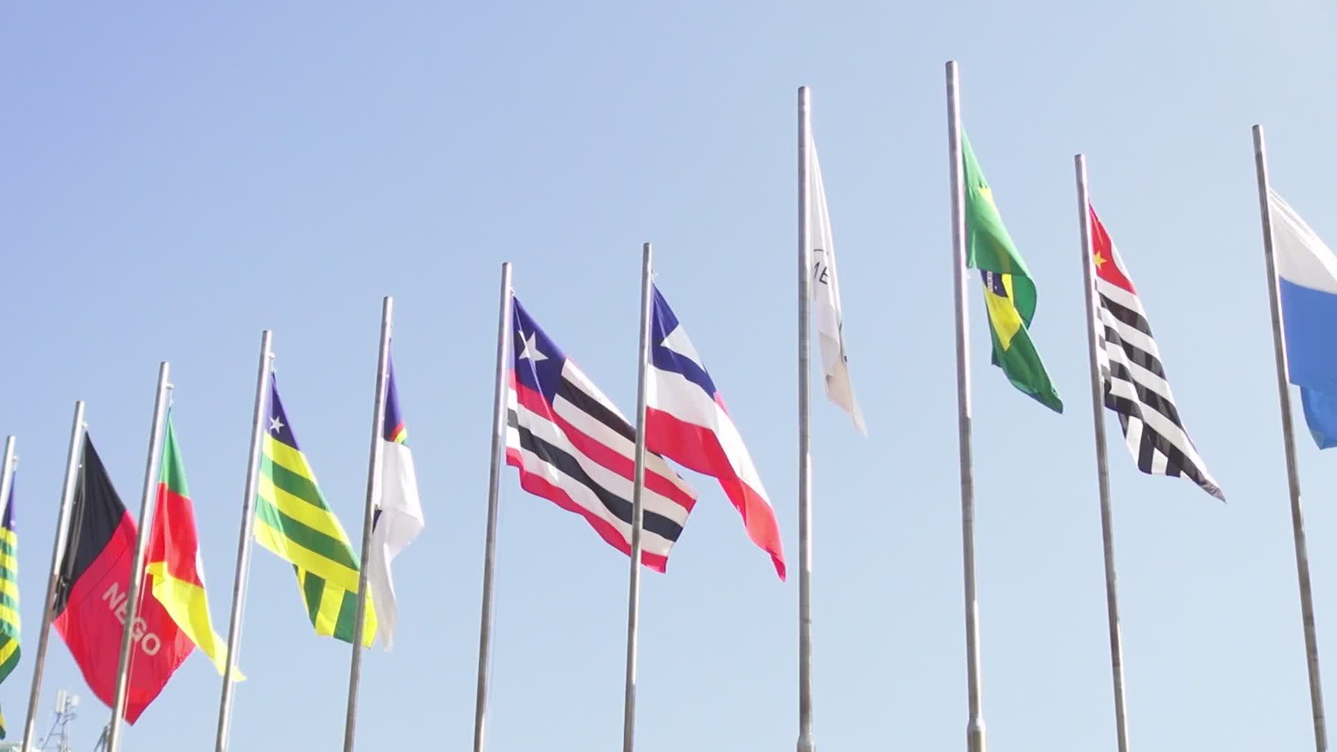 Colorful International Flags Waving in the Wind Free Stock Video ...