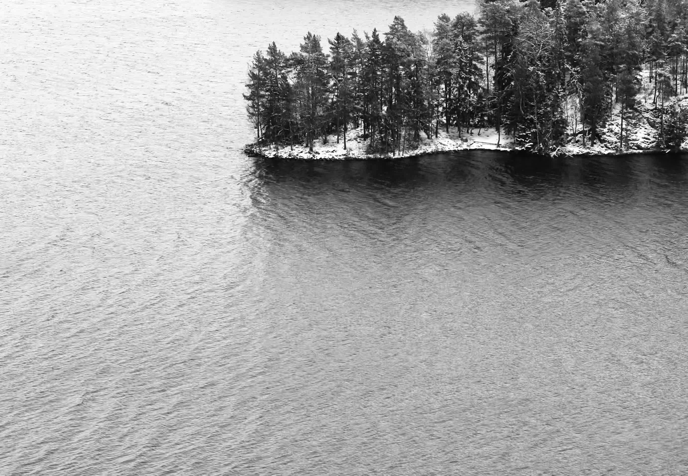 Aerial View of Forest Island in Tranquil Waters Free Stock Video ...