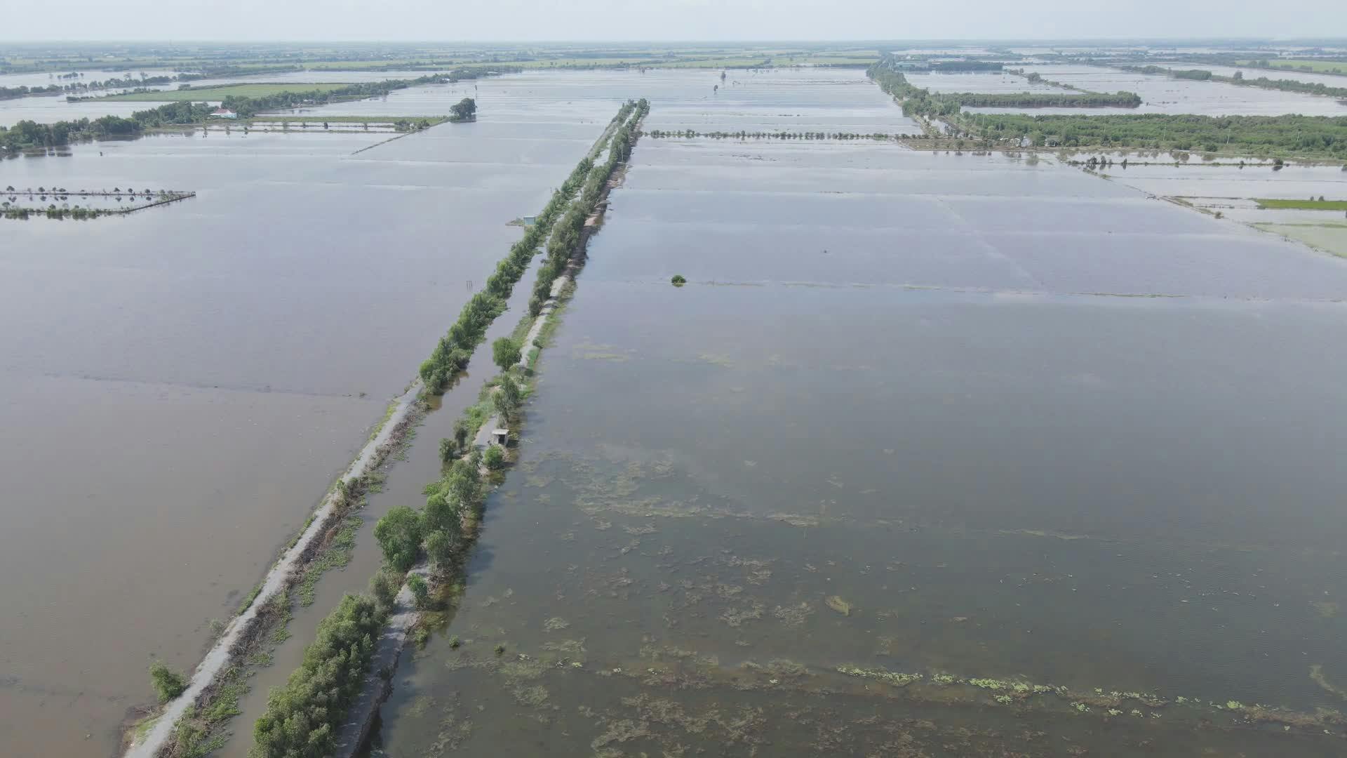 Agricultural Insurance Videos, Download The BEST Free 4k Stock Video ...