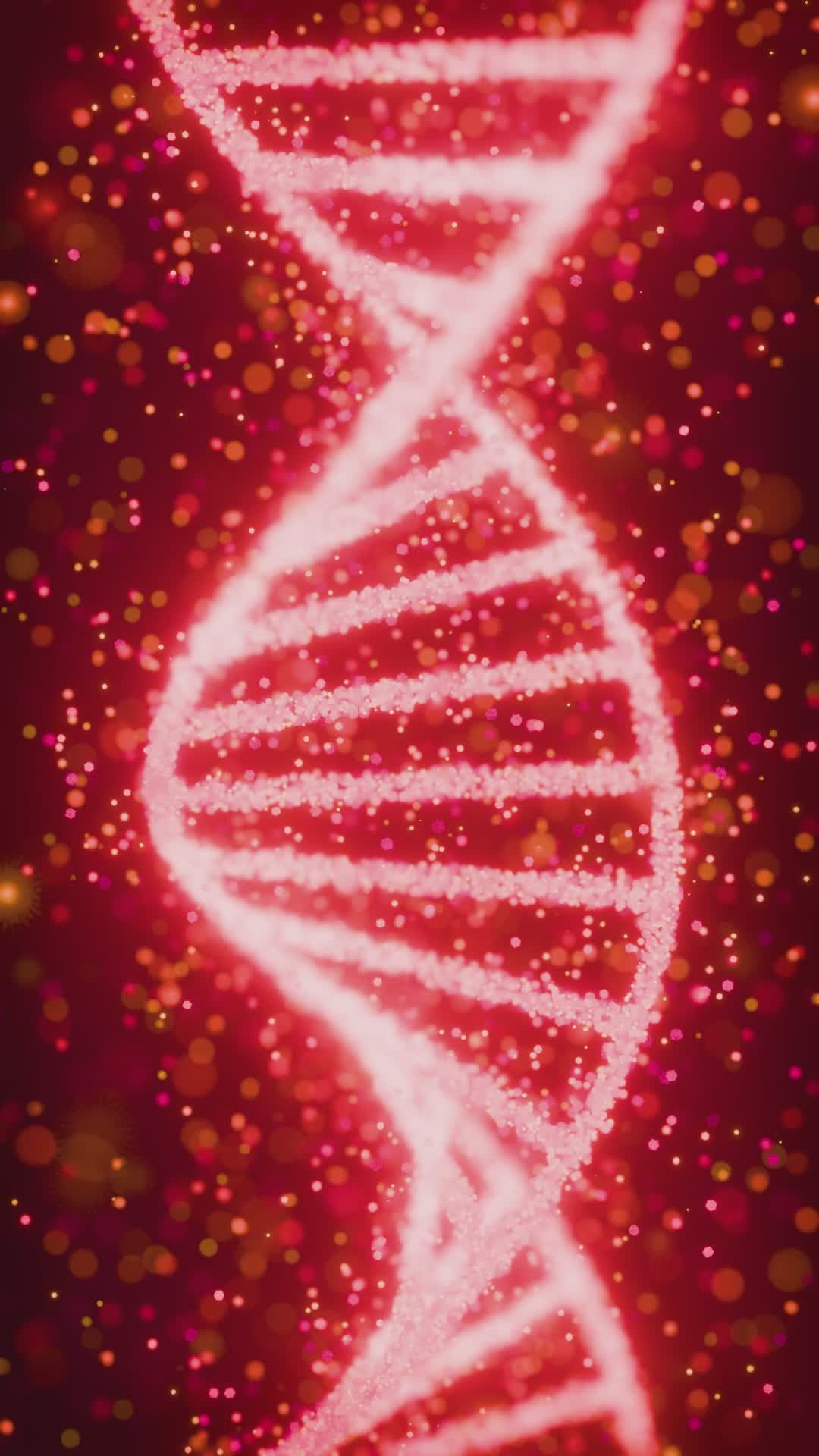 Dynamic Red DNA Helix Animation Free Stock Video Footage, Royalty-Free ...