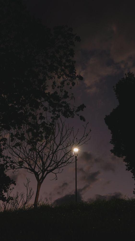 Goodnight Videos, Download The BEST Free 4k Stock Video Footage ...