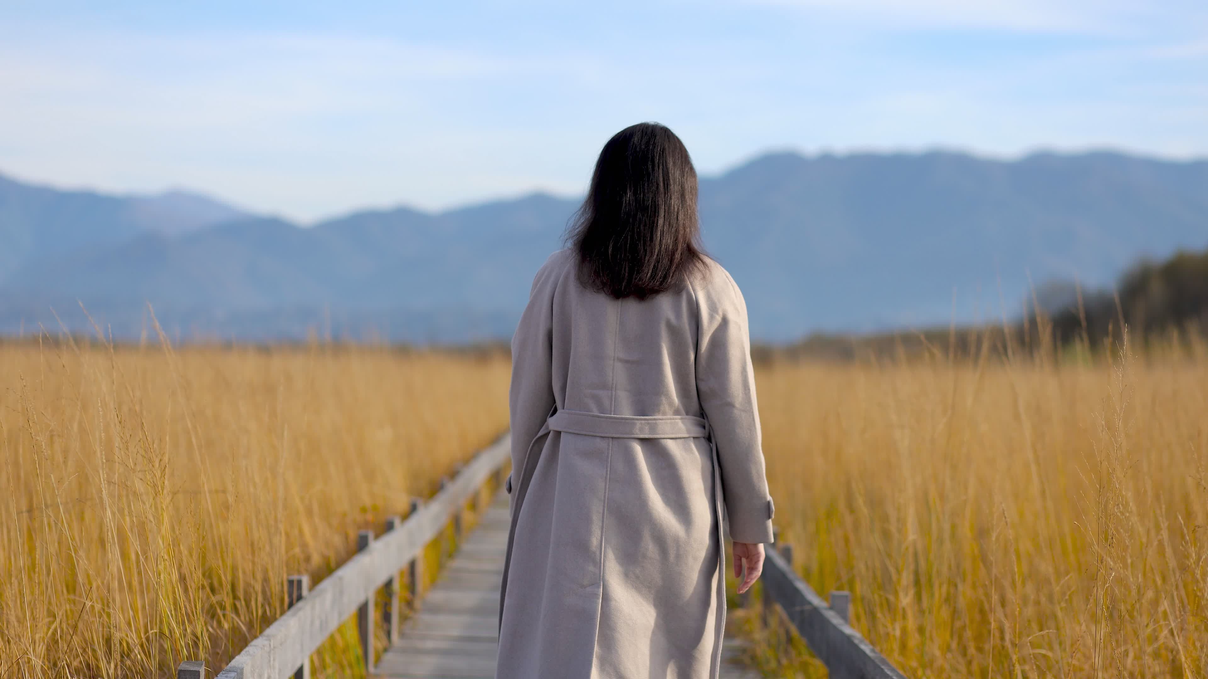 Woman Walking on Boardwalk in Nature Free Stock Video Footage, Royalty ...