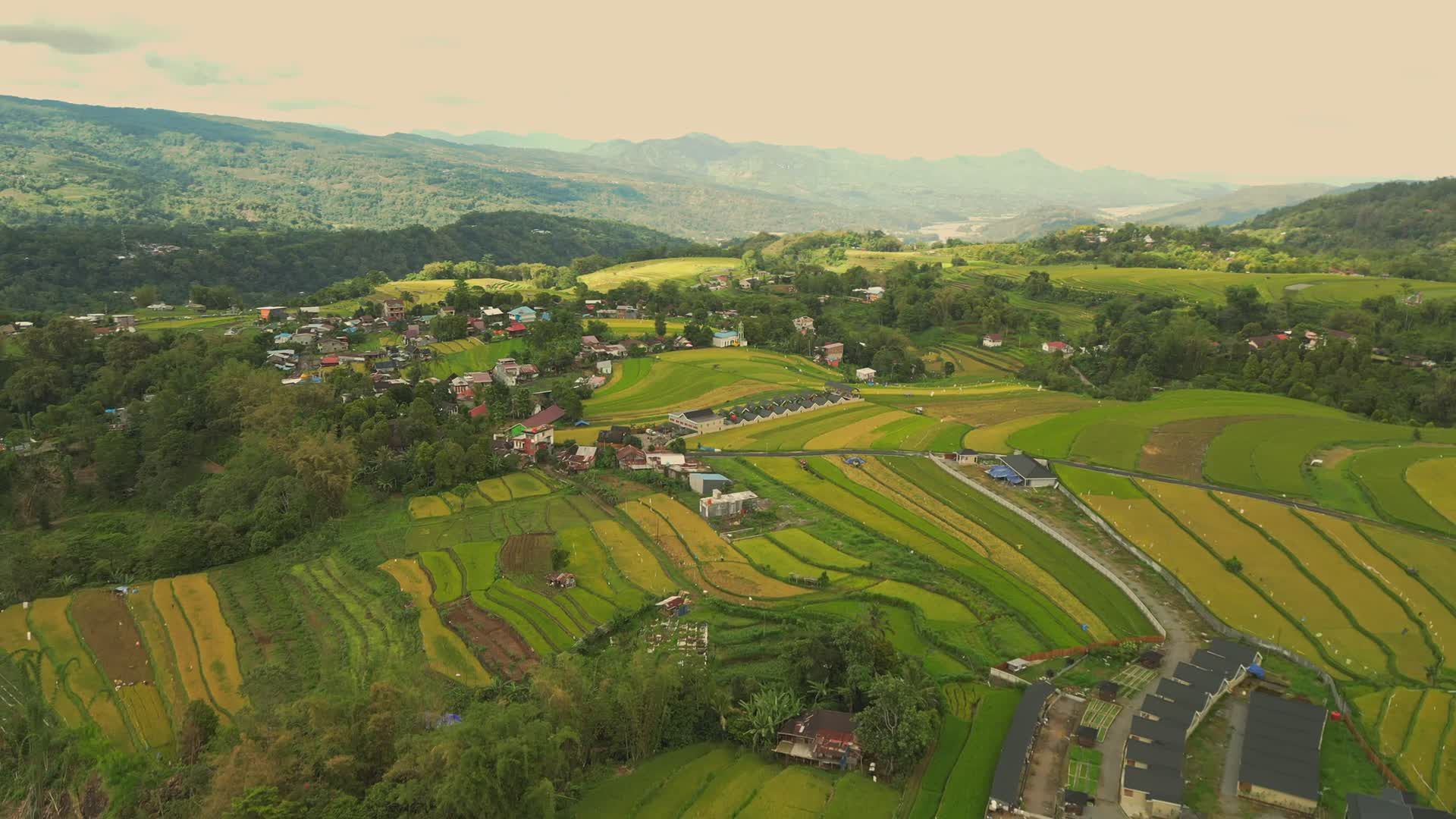 Stunning Aerial View of Malino Rice Paddies Free Stock Video Footage ...