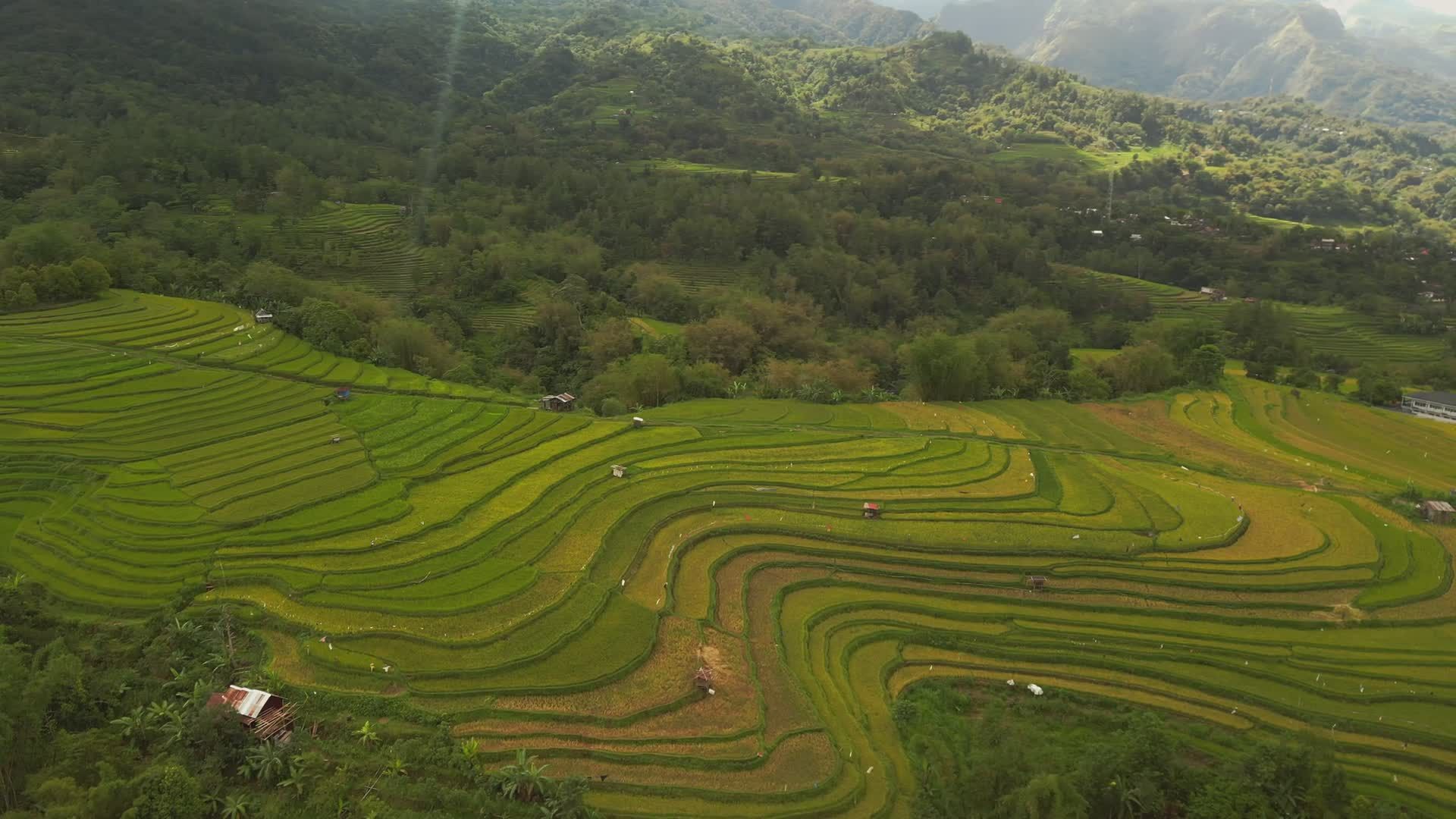 Stunning Aerial View of Malino Rice Terraces Free Stock Video Footage ...