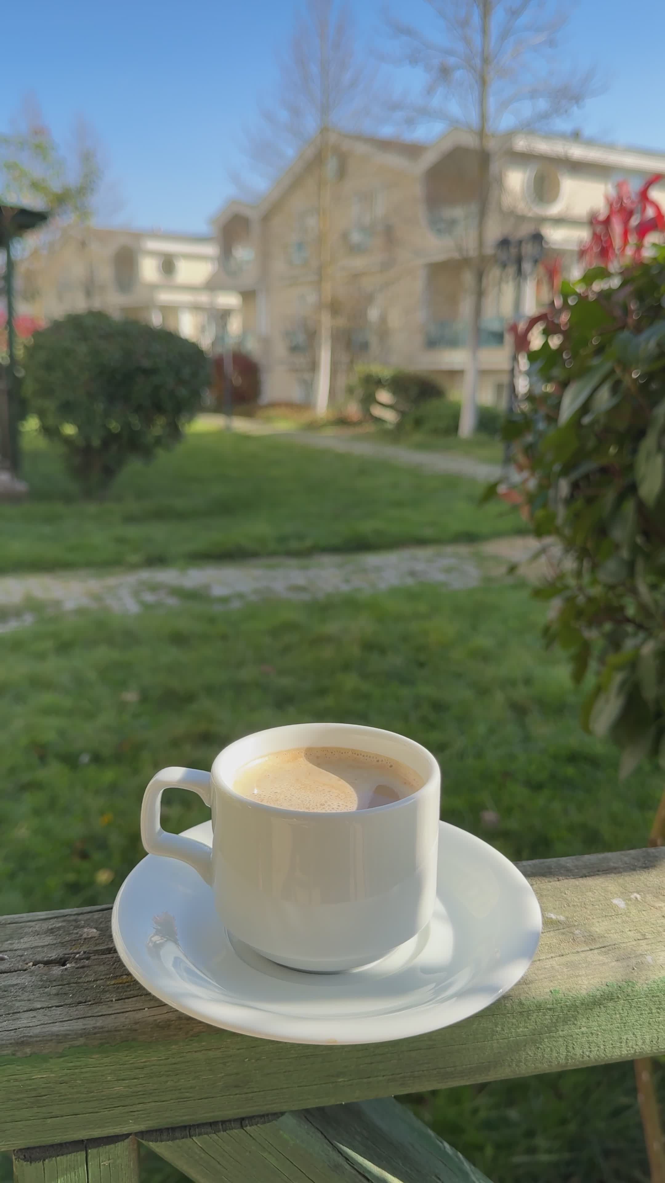 Only Cup Videos, Download The BEST Free 4k Stock Video Footage & Only ...